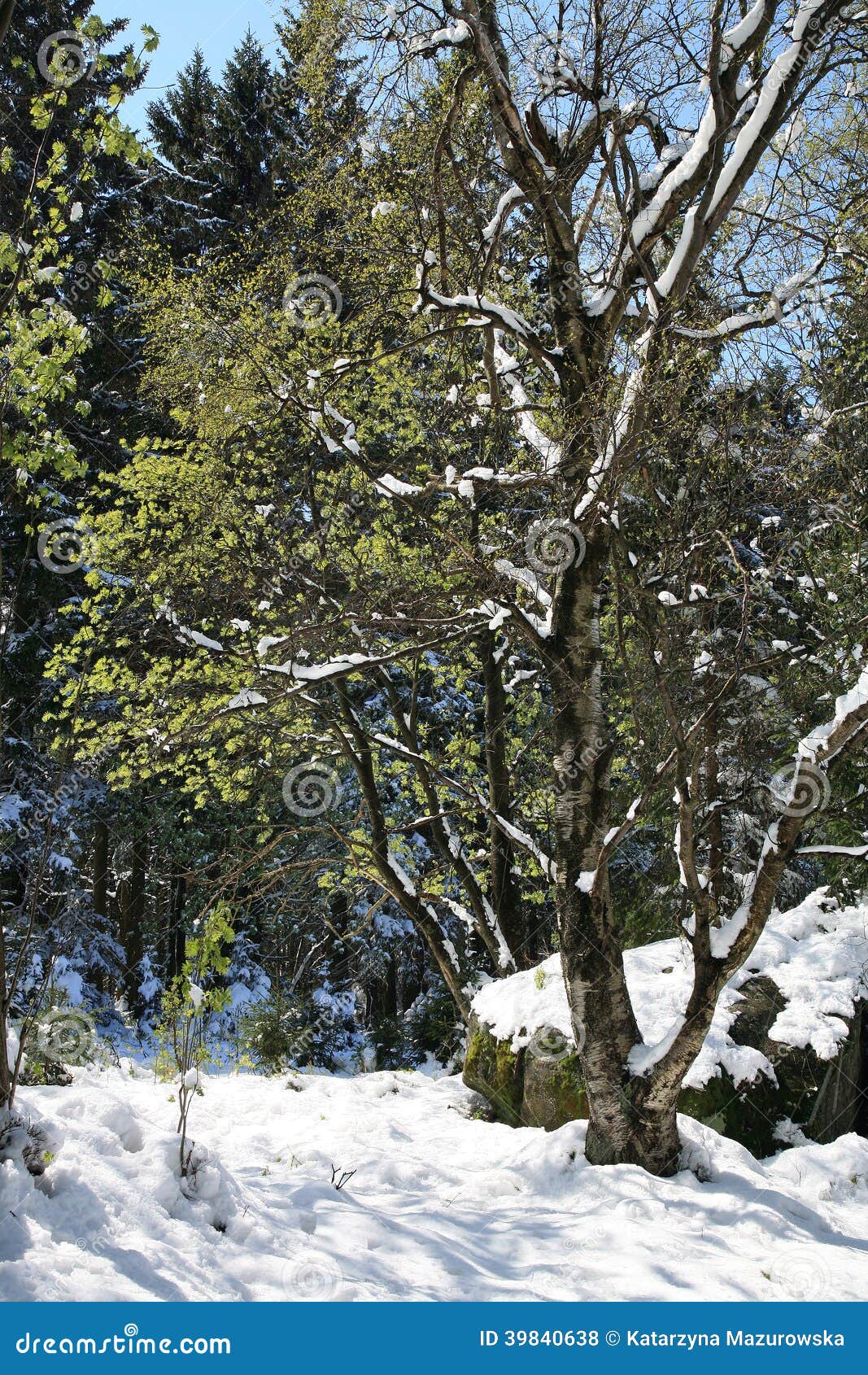 Weather anomalies. stock photo. Image of disaster, covered - 39840638 Weather anomalies. stock photo. Image of disaster, covered - 39840638