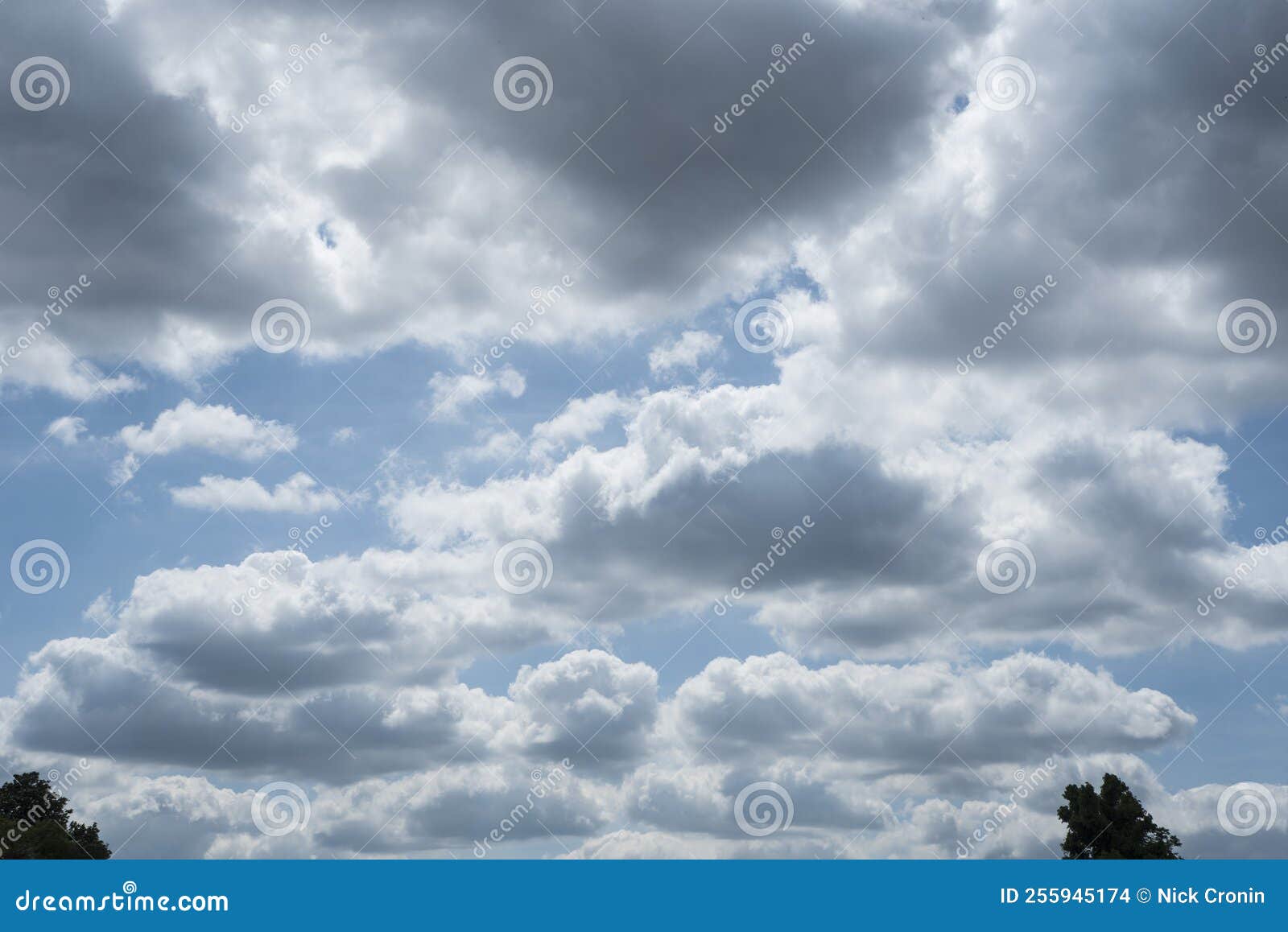 Weather Background: Gathering Cumulus Clouds. Dramatic Cloudy ...