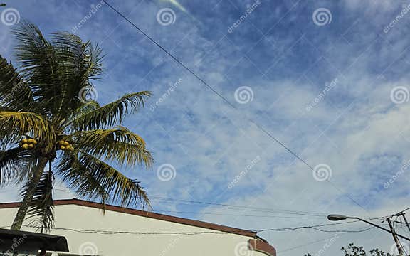 The Weather is Clear with Blue Sky after Drizzle Stock Photo - Image of ...