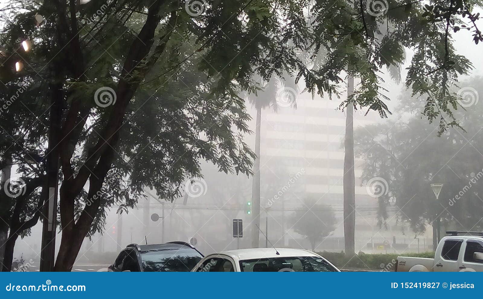 Weather Climate Street Tree Stock Image - Image of climate, tree: 152419827