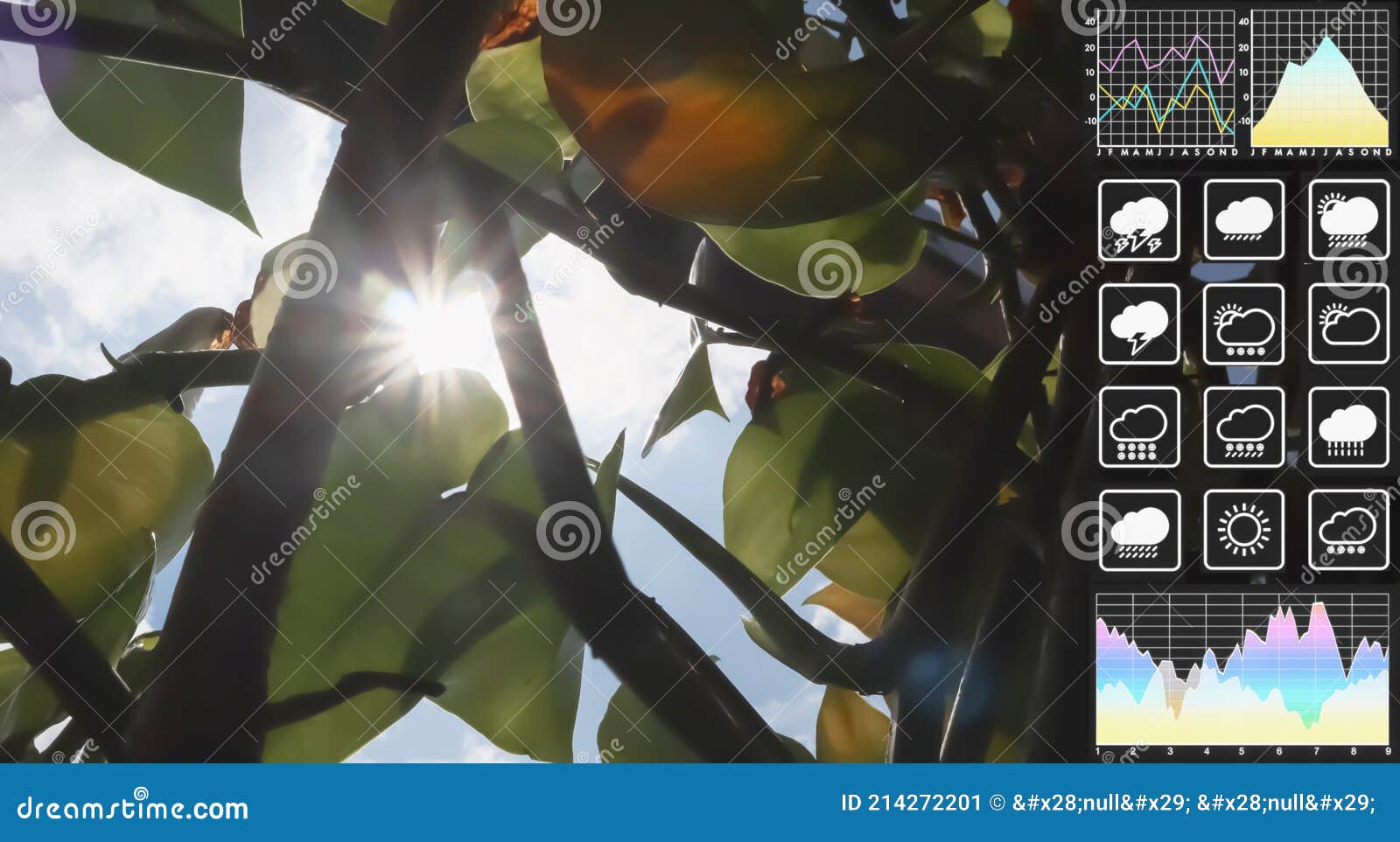 Weather Forecast Symbol Data Presentation with Graph and Chart on ...