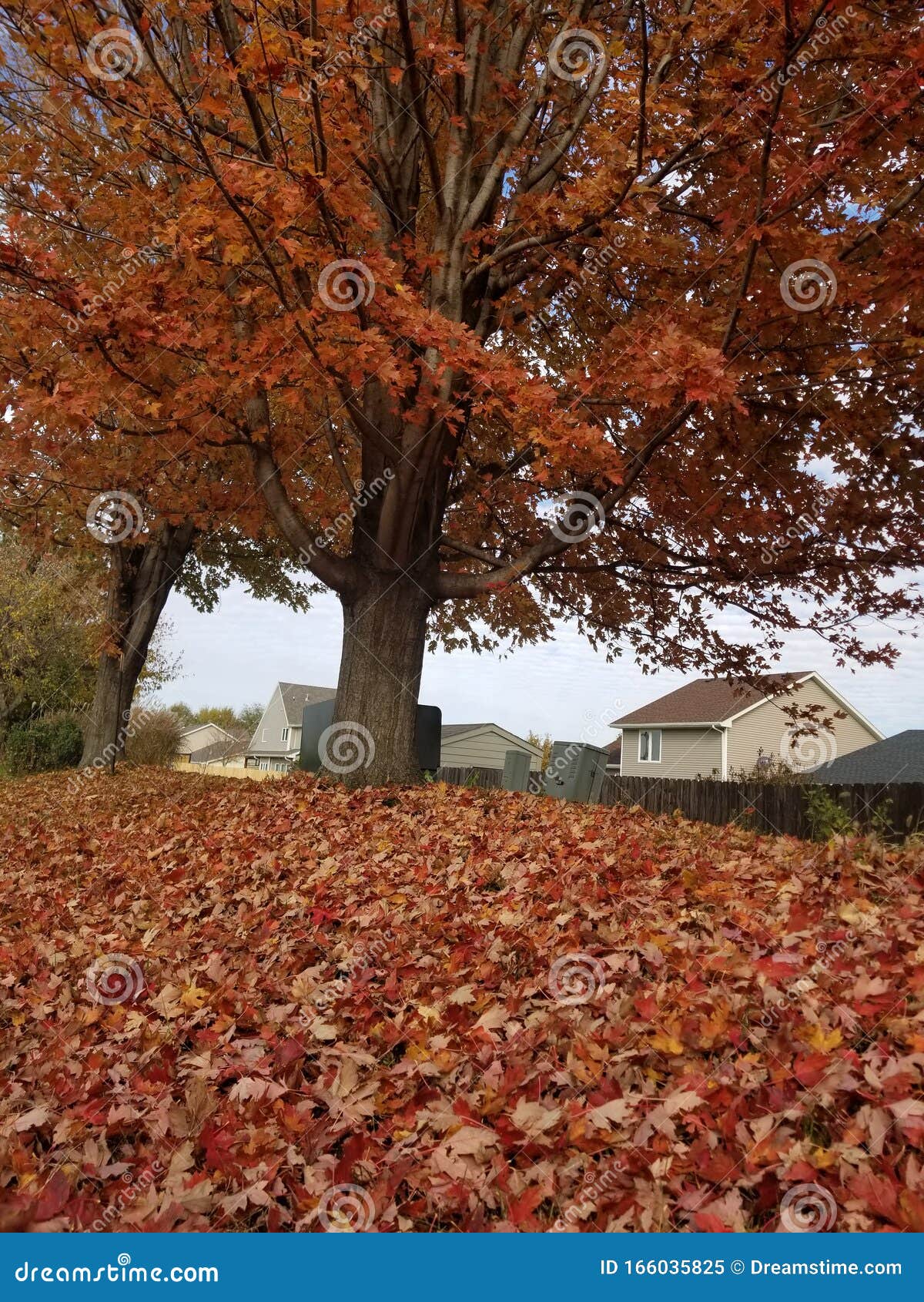 Weather in October stock image. Image of times, tree - 166035825
