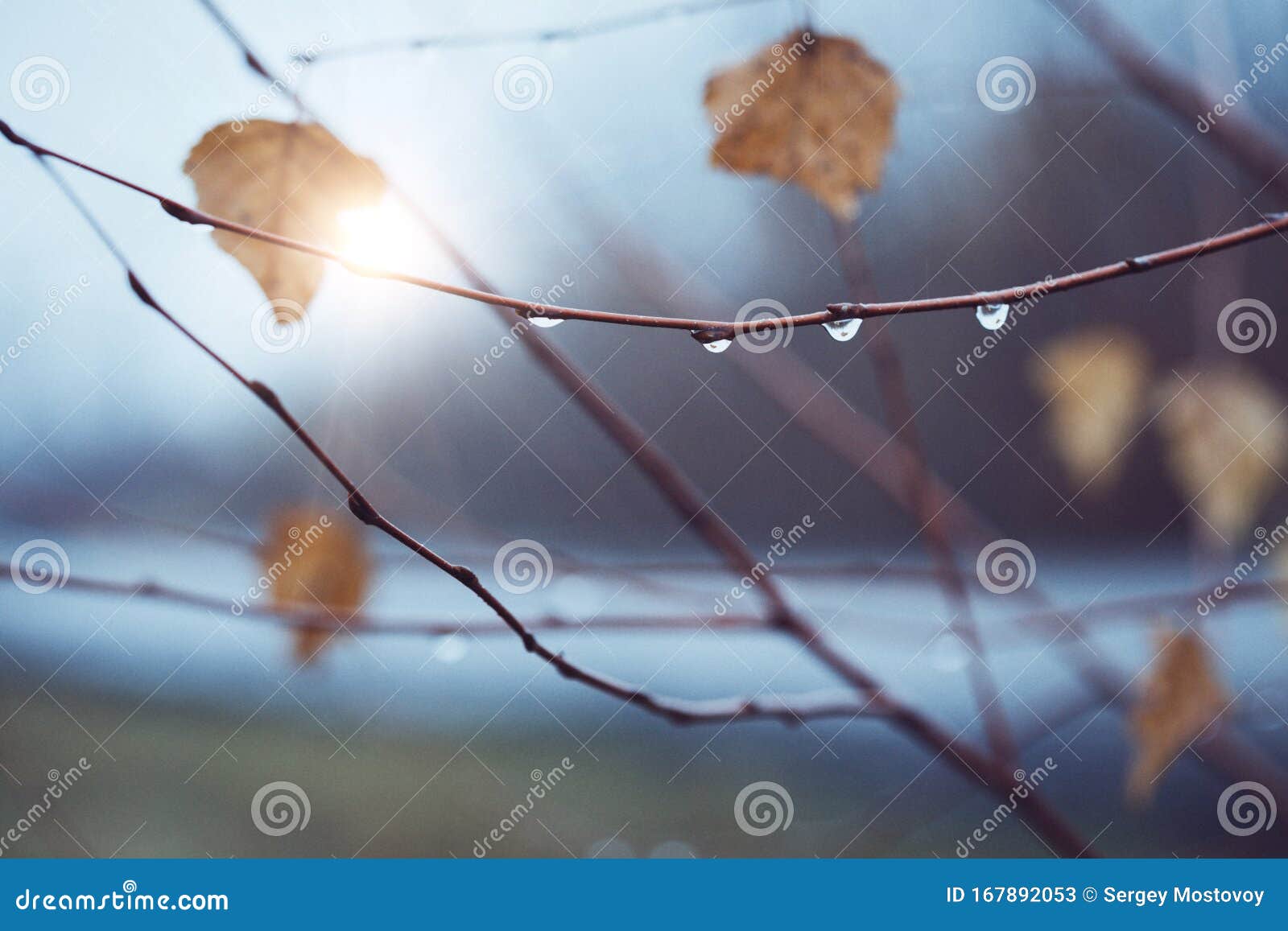 The weather outside stock image. Image of fall, springtime - 167892053
