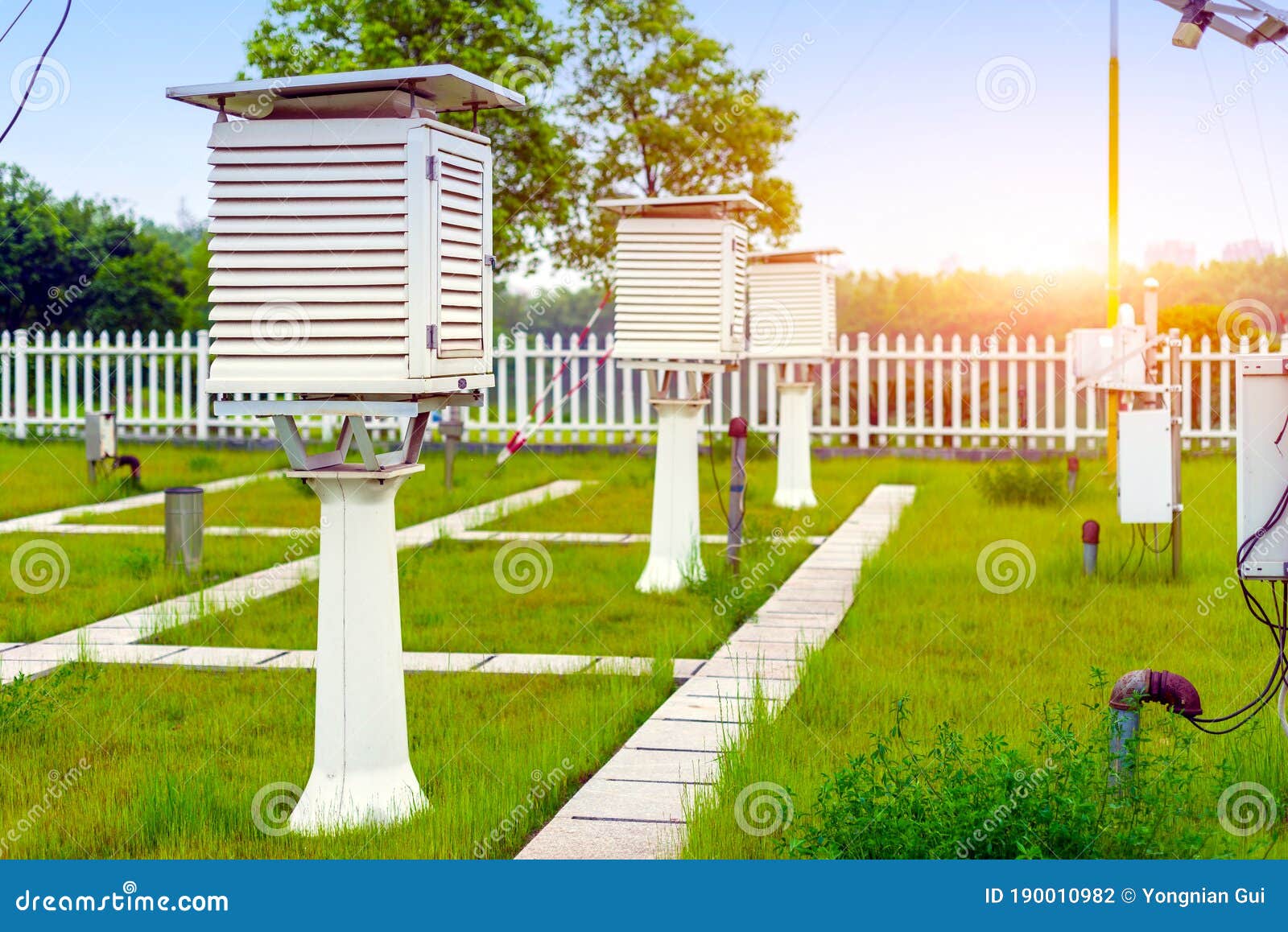The Weather Station in the Forest Stock Photo - Image of nature, grass ...