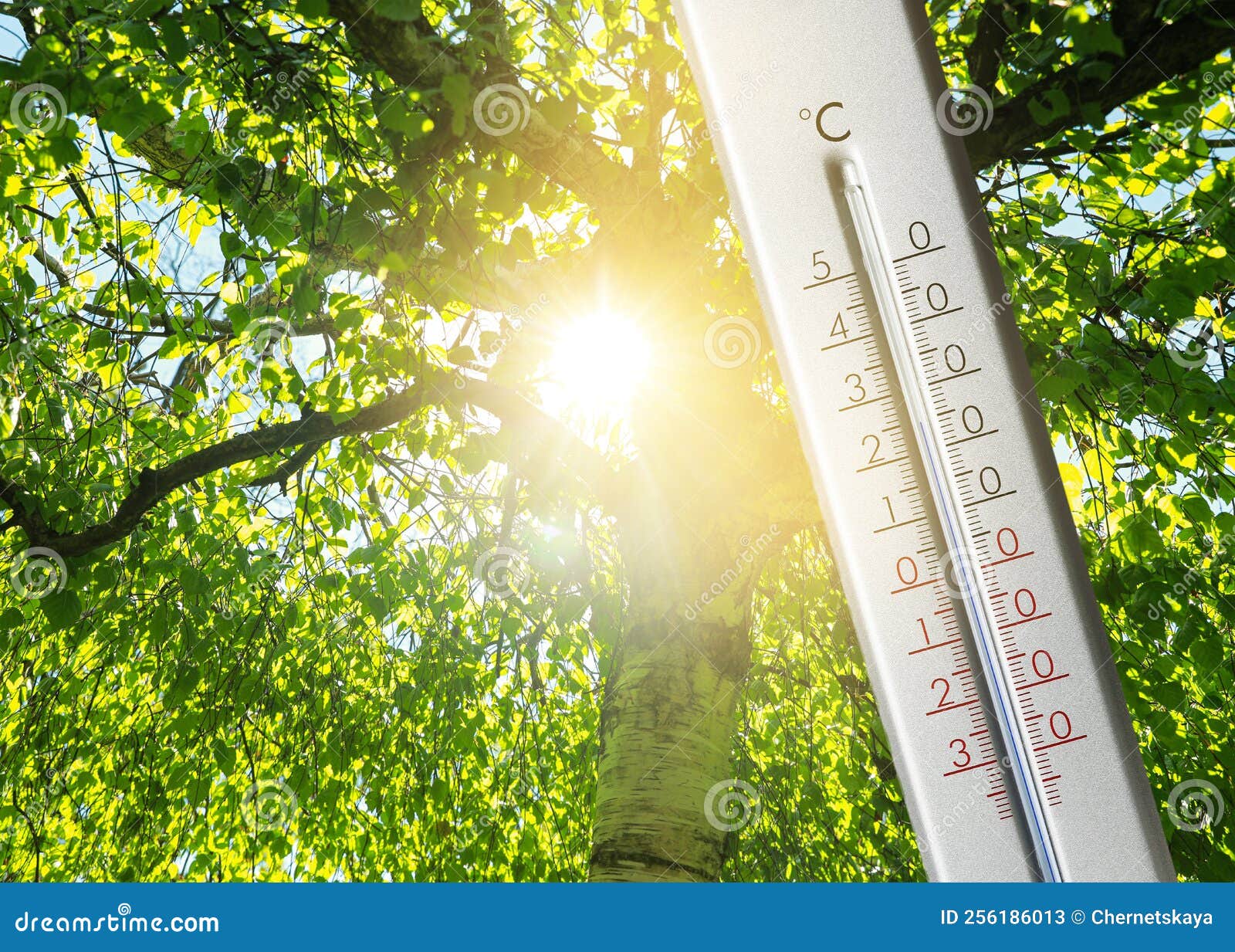 Weather Thermometer and Beautiful Tree with Green Leaves on Background ...