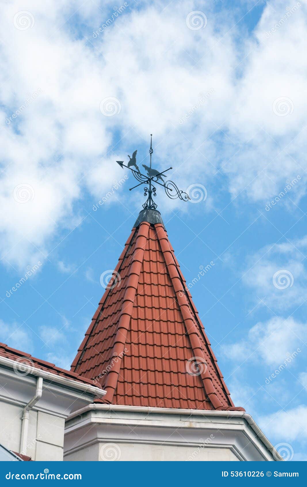 Weather vane on roof stock photo. Image of decoration - 53610226