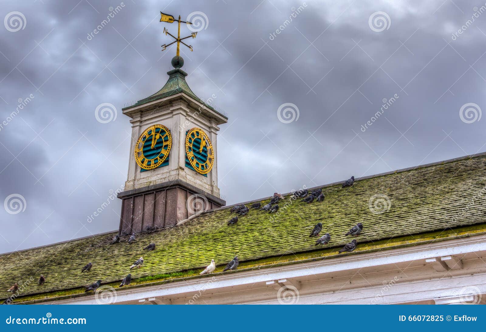Weather vane on roof stock image. Image of roof, clock - 66072825