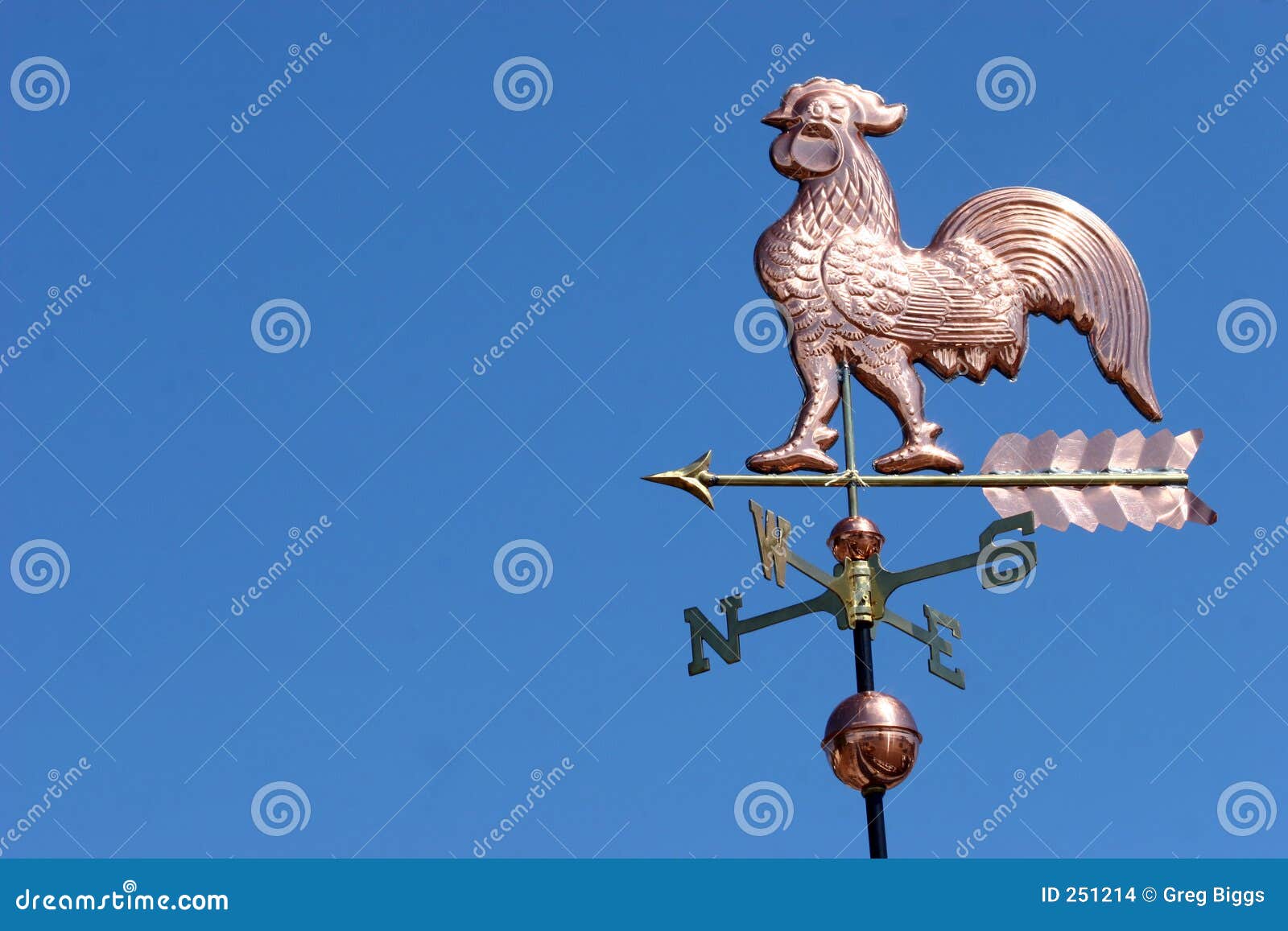 Weather Vane Golden Cockerel Over Medieval Roofs Of Tallinn Royalty ...