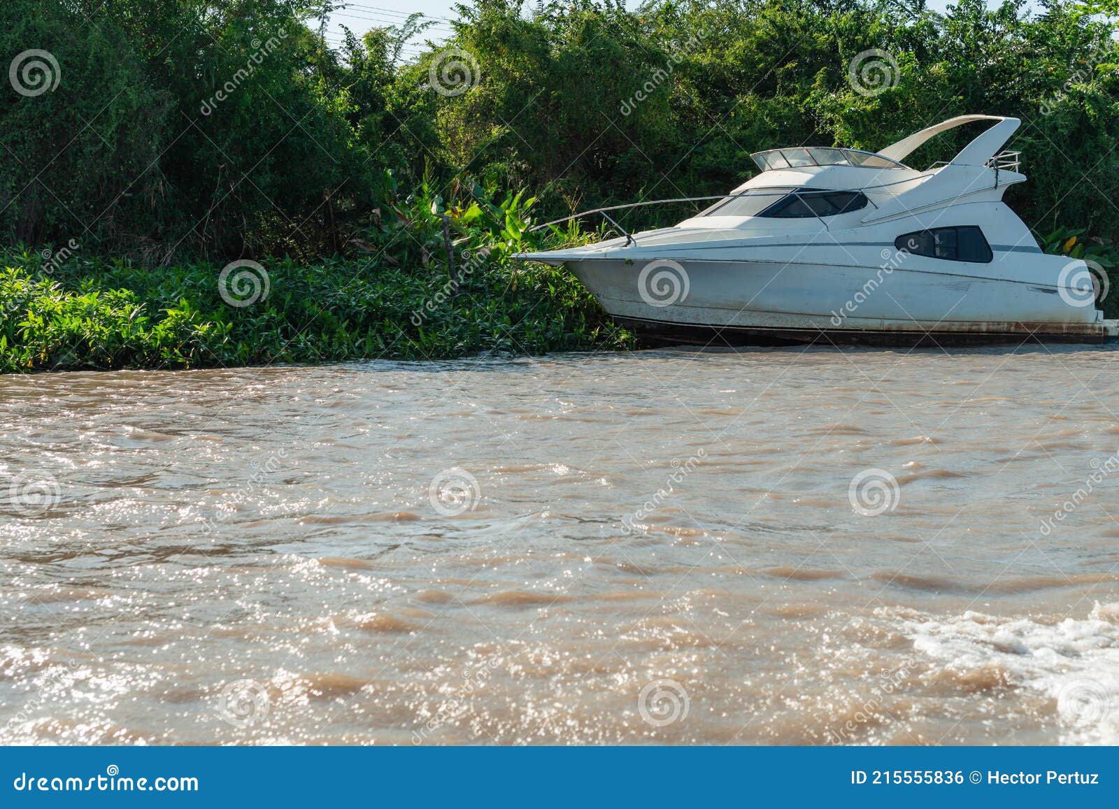 Weathered Abandoned River Boat Left Tied To a Tree Stock Photo - Image ...