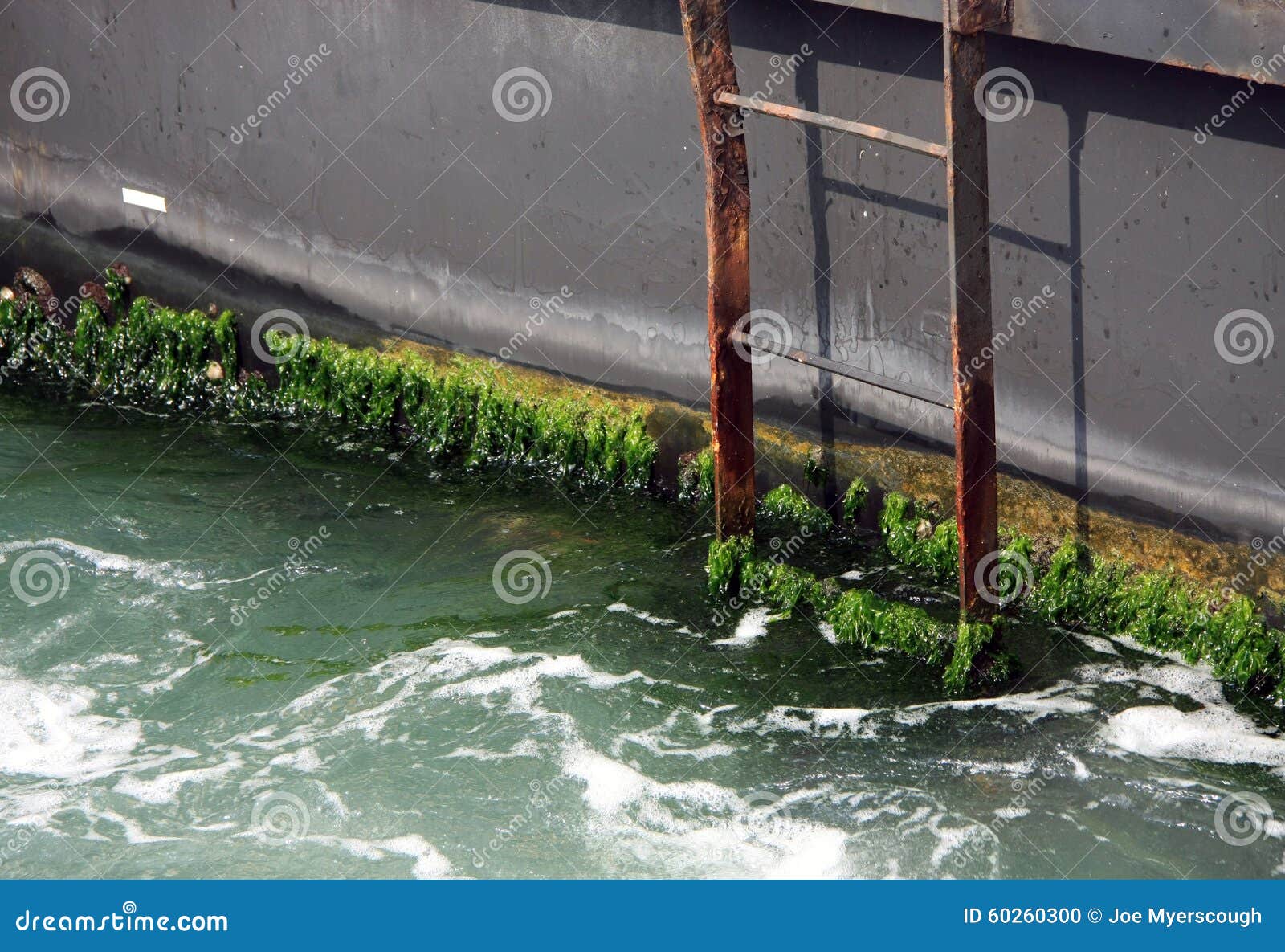 Weathered Algae Covered Ladders Stock Photo - Image of ladders, algae ...