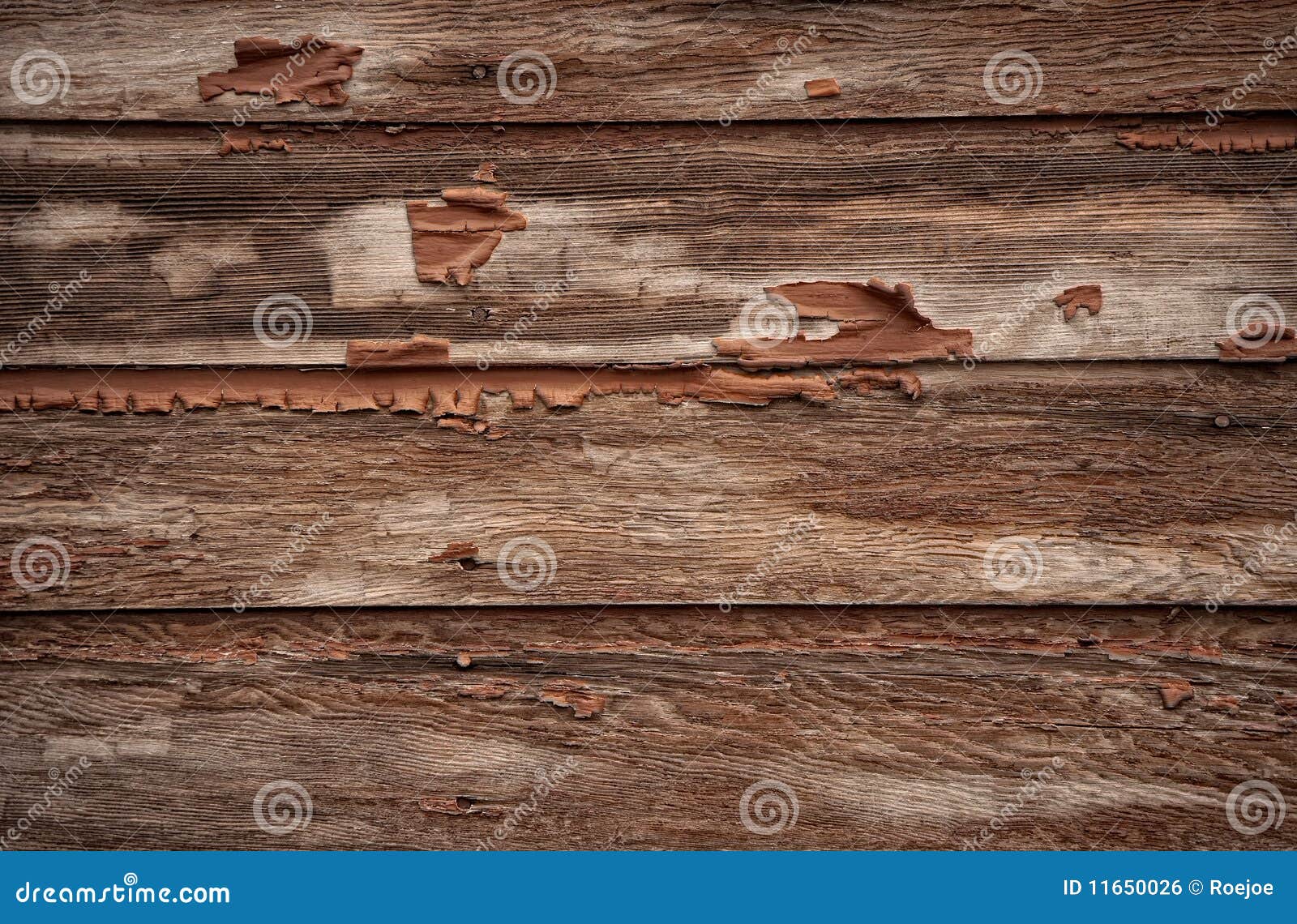 Weathered Barn Boards stock photo. Image of boards, peeled - 11650026
