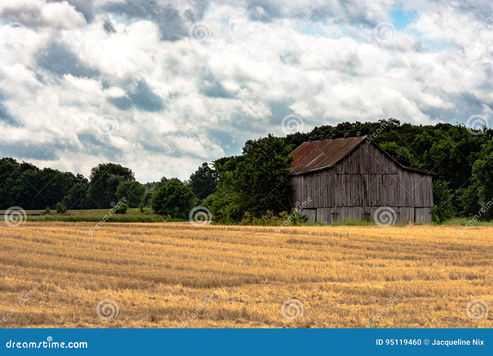 Weathered Barn and Harvested Wheat Field Stock Photo - Image of grain ...