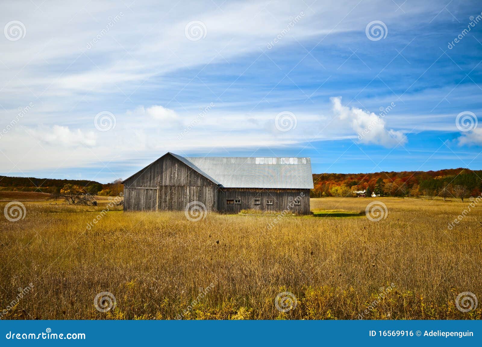 Weathered Barn, Michigan stock photo. Image of trees - 16569916