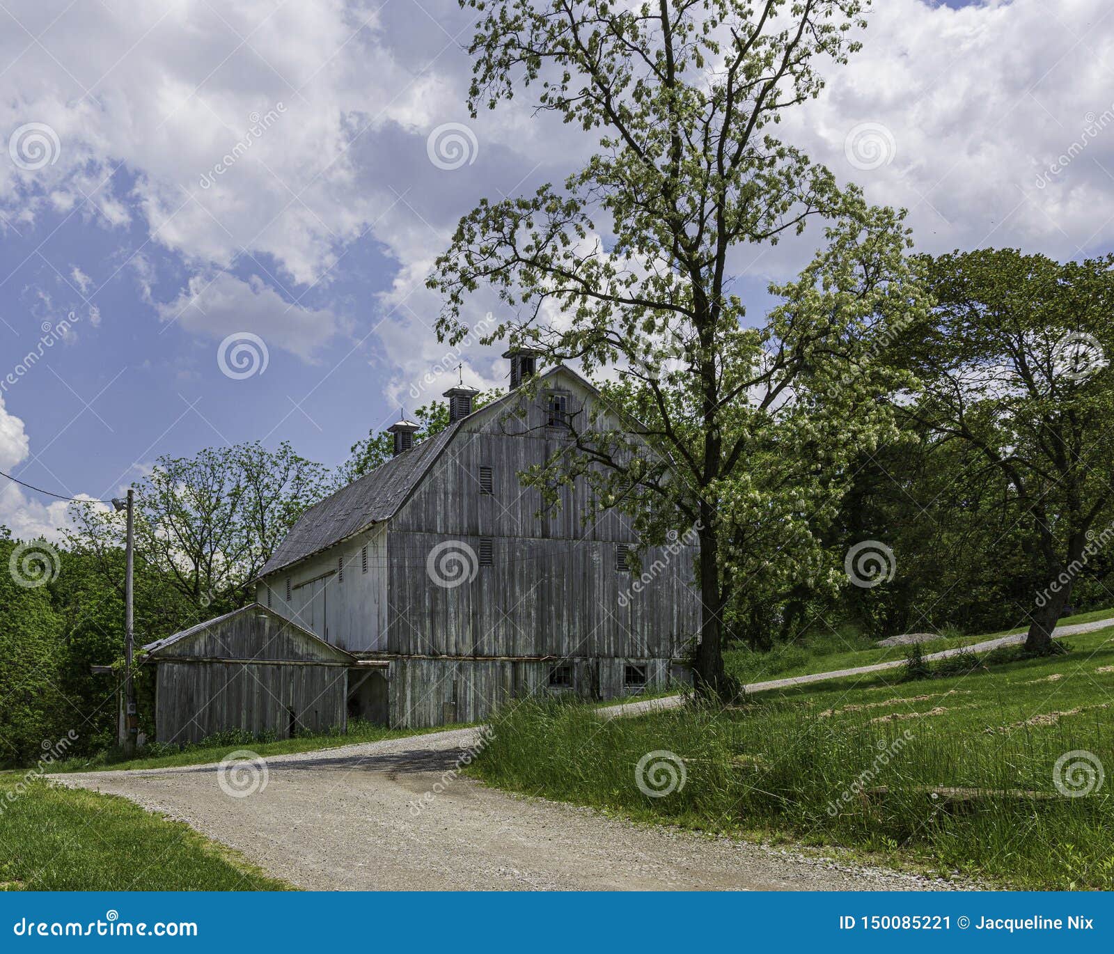 Weathered Barn in Springtime Stock Image - Image of farm, barn: 150085221