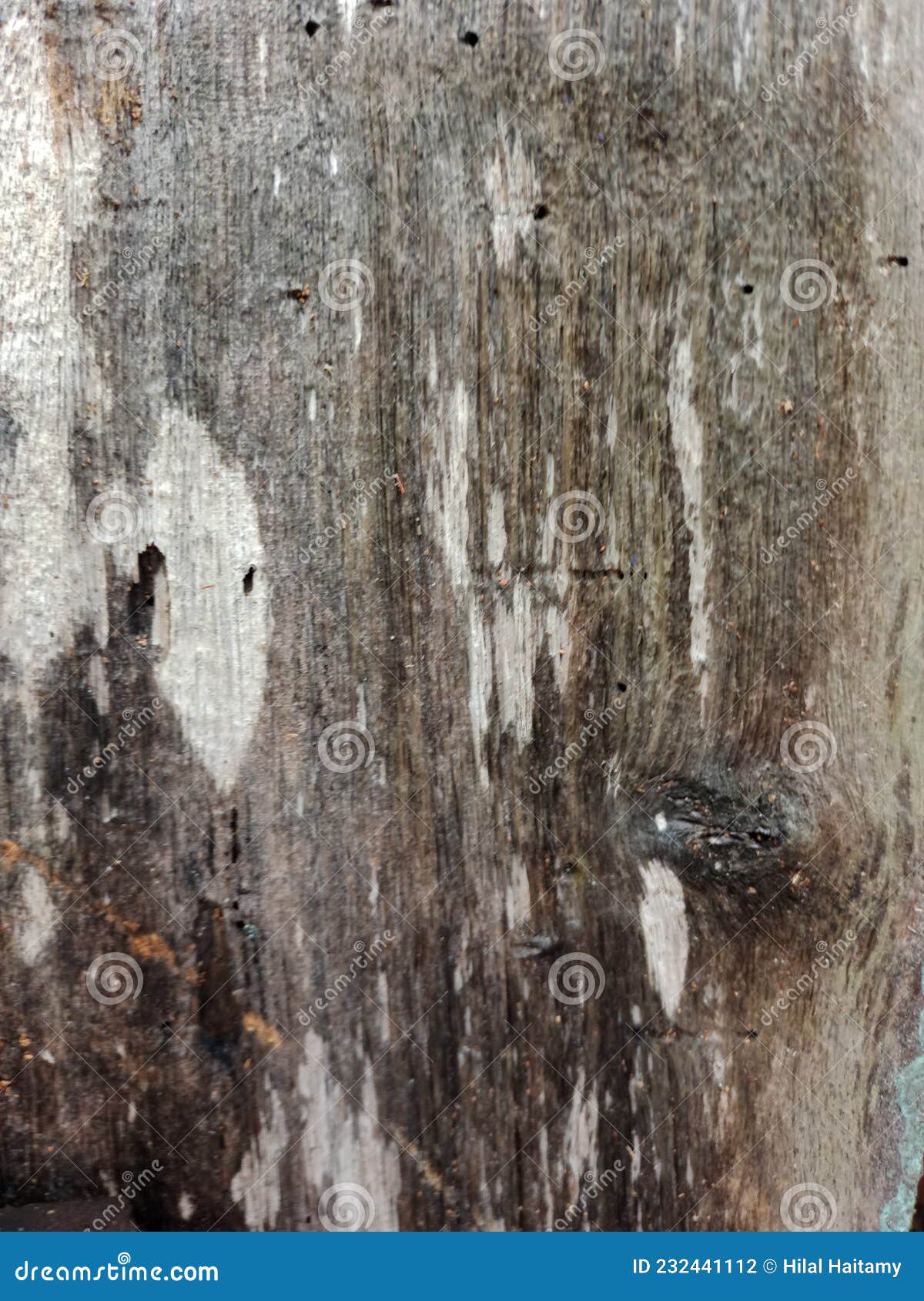 Weathered, Brittle, Old, Wet Wood Texture. Stock Photo - Image of ...
