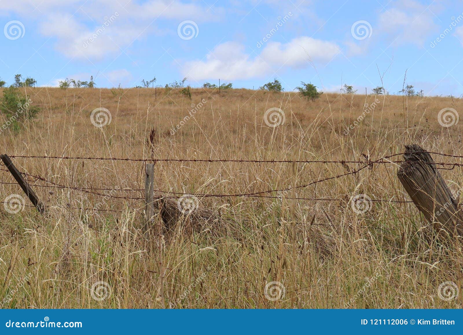 Weathered, Broken and Leaning Wire Fence and Wooden Posts Stock Photo ...