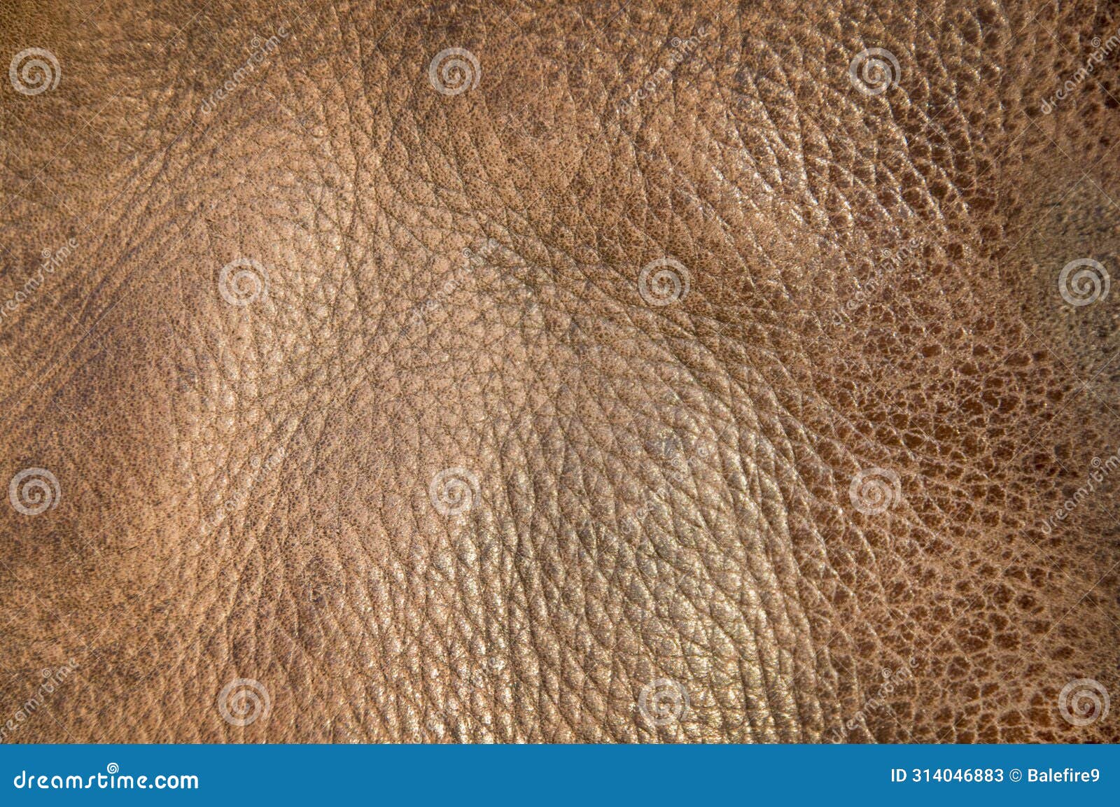 Weathered Brown Leather Surface Texture Stock Image - Image of ...