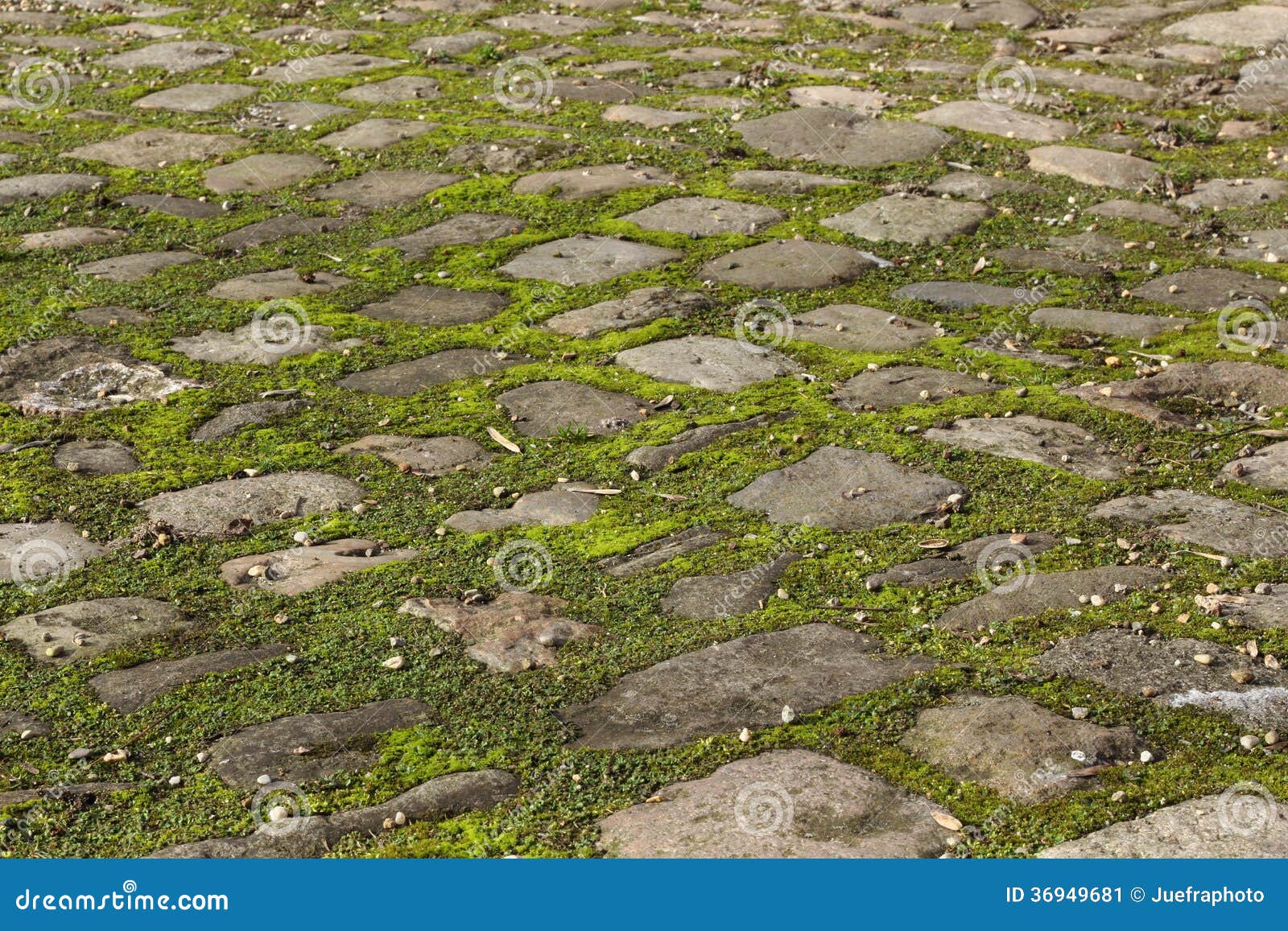 Weathered cobbles stock image. Image of ground, roads - 36949681
