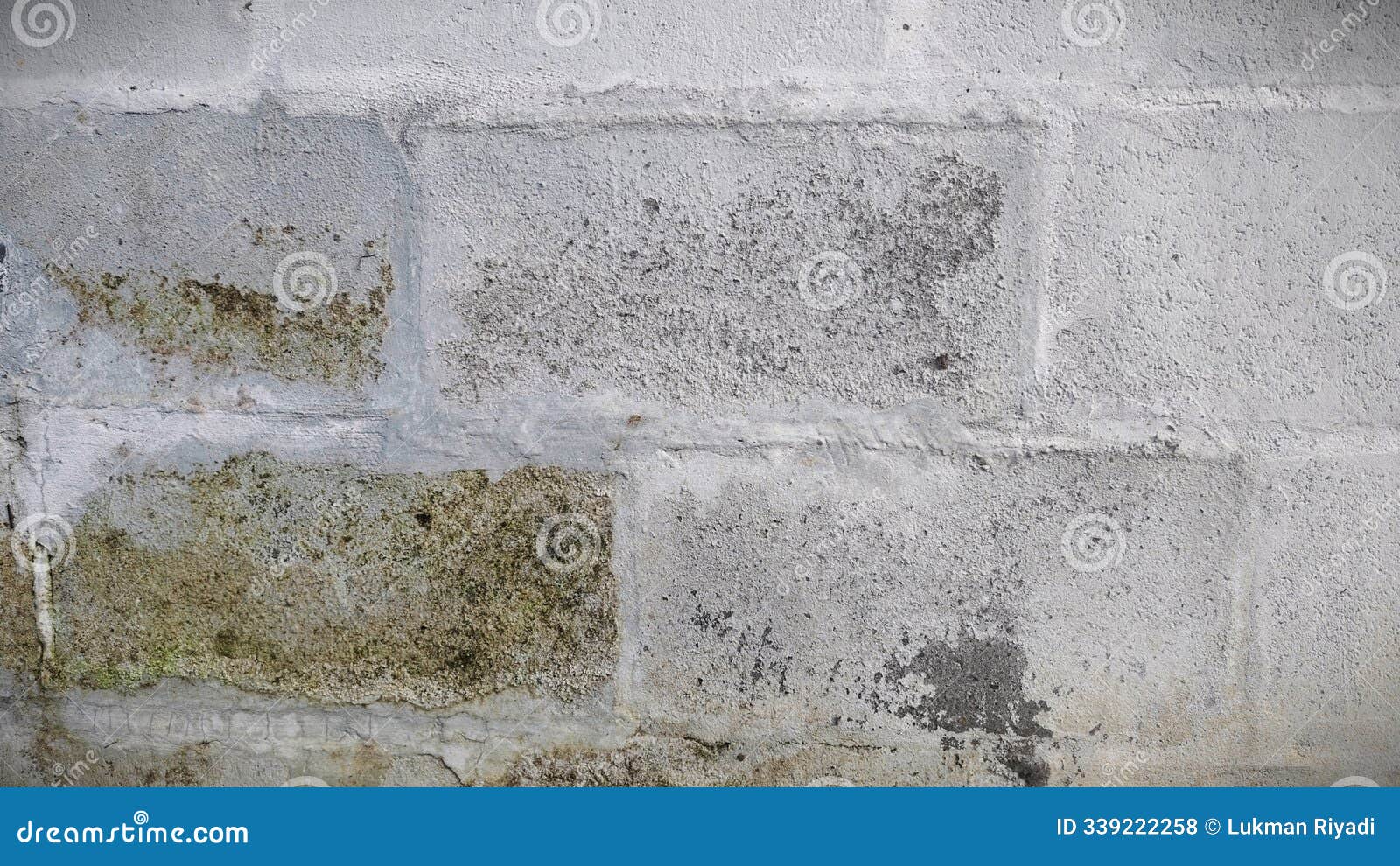 Weathered Concrete Blocks with Signs of Moss and Stain Stock Photo ...