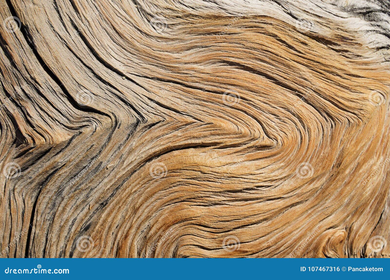 Contorted Wood Grain stock photo. Image of close, folded - 107467316