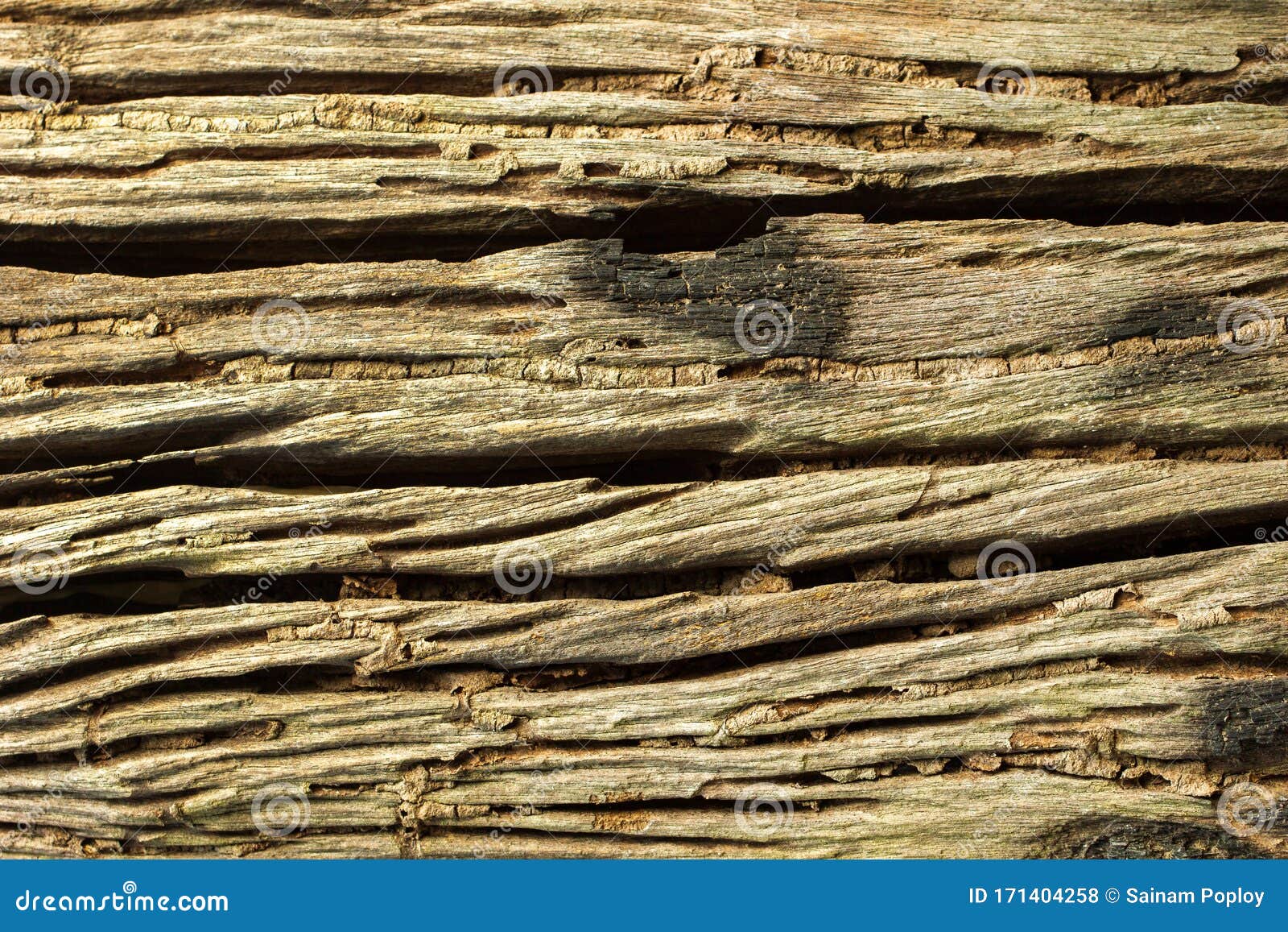 Weathered Cracked of Aged Bark Texture Background. Stock Photo - Image ...