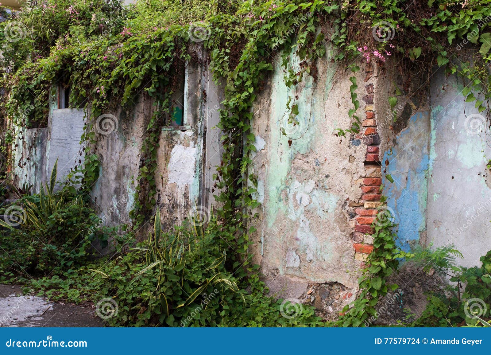 Weathered and Crumbling Wall Stock Photo - Image of abandonded ...