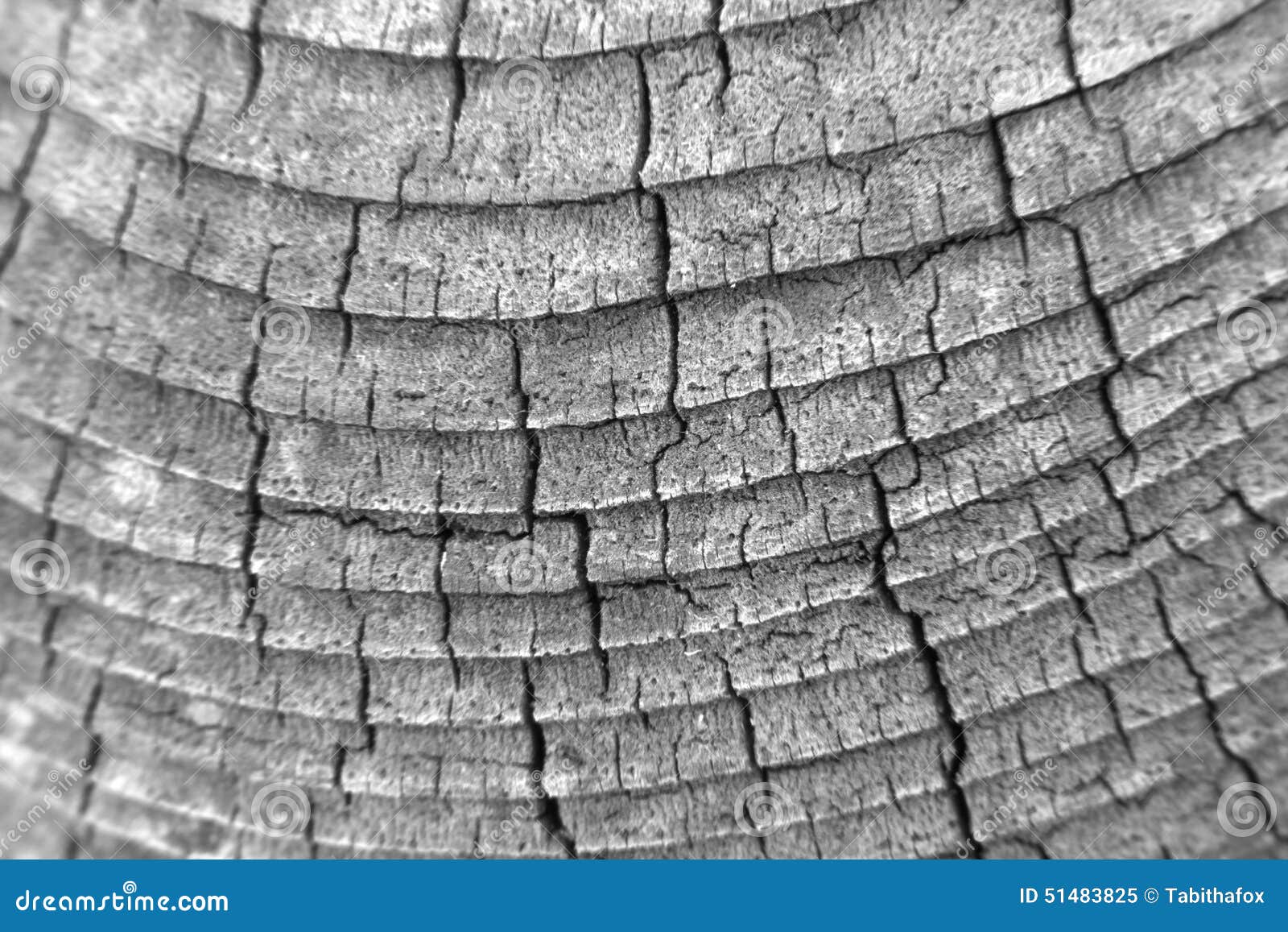 Weathered curved texture stock image. Image of nature - 51483825