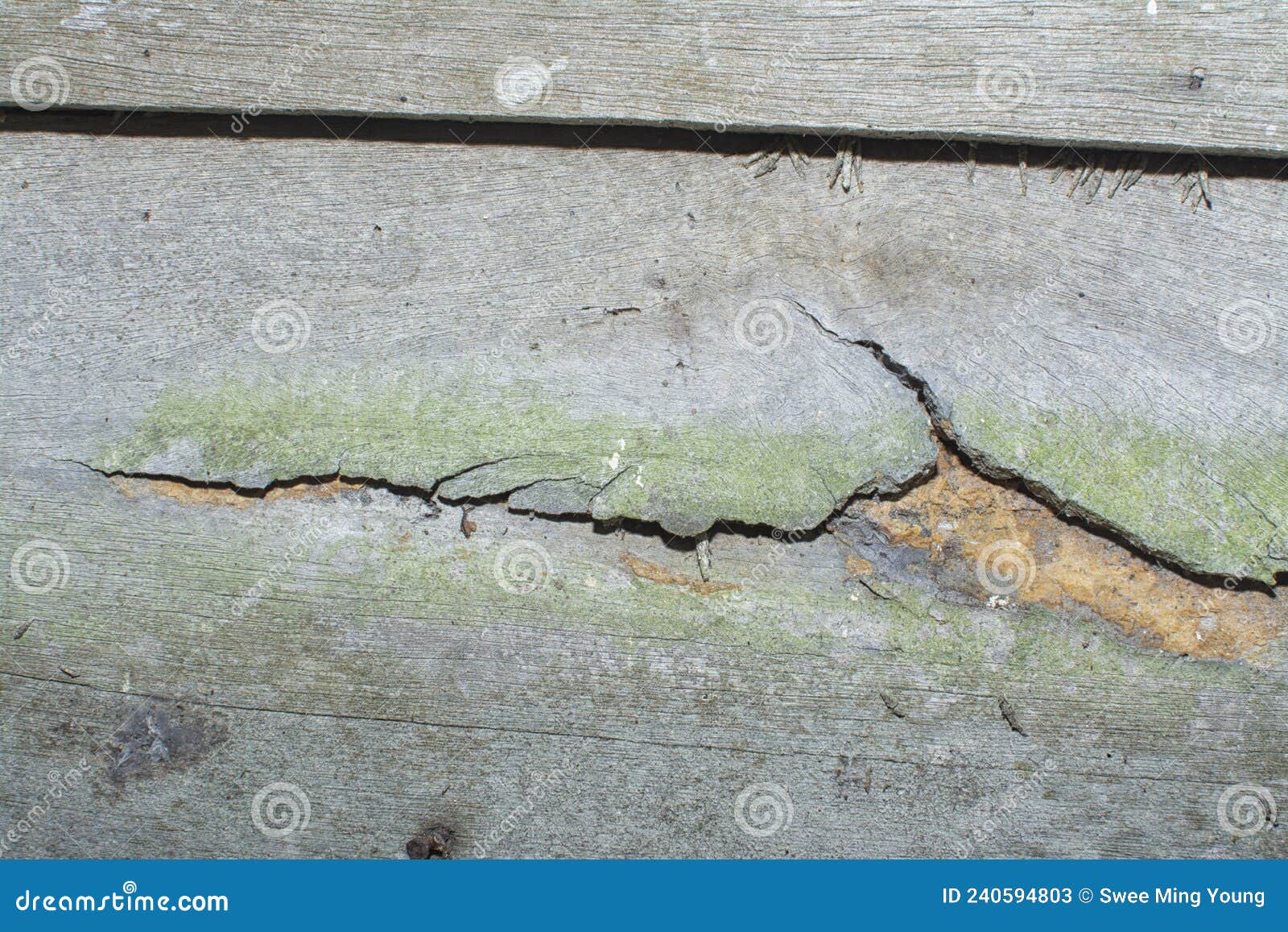 Weathered and Decayed Wall Plank Wood Texture Stock Image - Image of ...