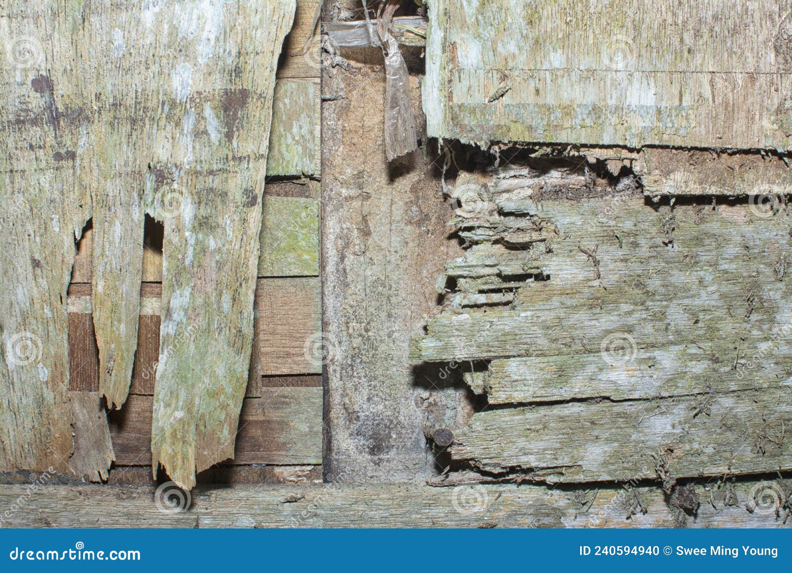 Weathered and Decayed Wall Plank Wood Texture Stock Photo - Image of ...