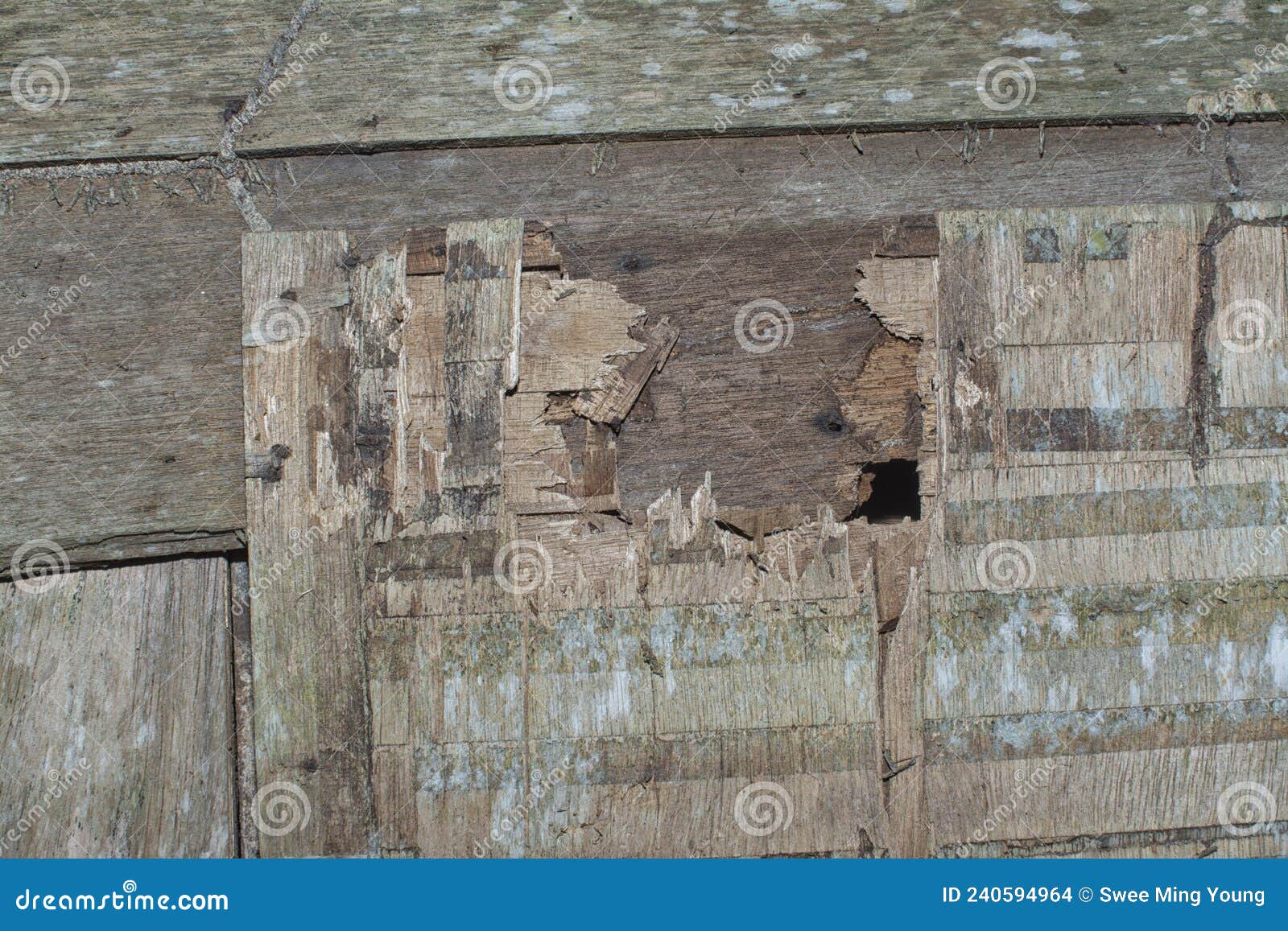 Weathered and Decayed Wall Plank Wood Texture Stock Photo - Image of ...