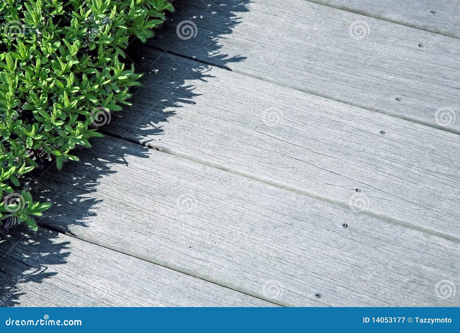 Weathered decking stock image. Image of closeup, design - 14053177