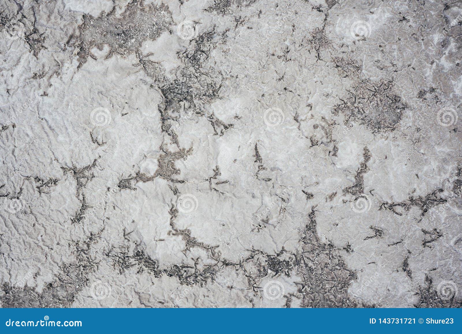 Weathered and Dried Surface of a Salt Lake Texture Stock Image - Image ...