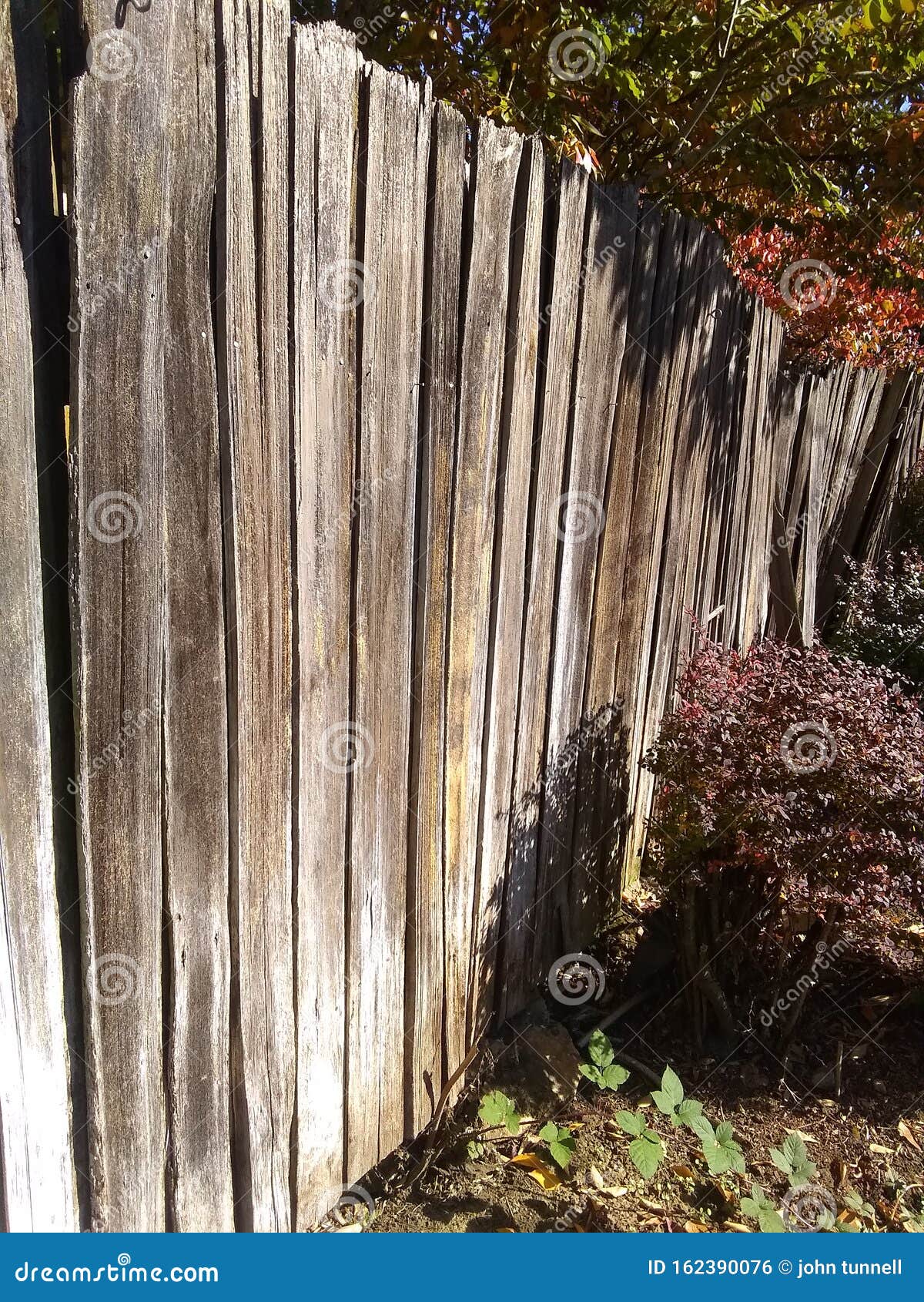 Weathered stock photo. Image of fenceboards, cedar, fence - 162390076
