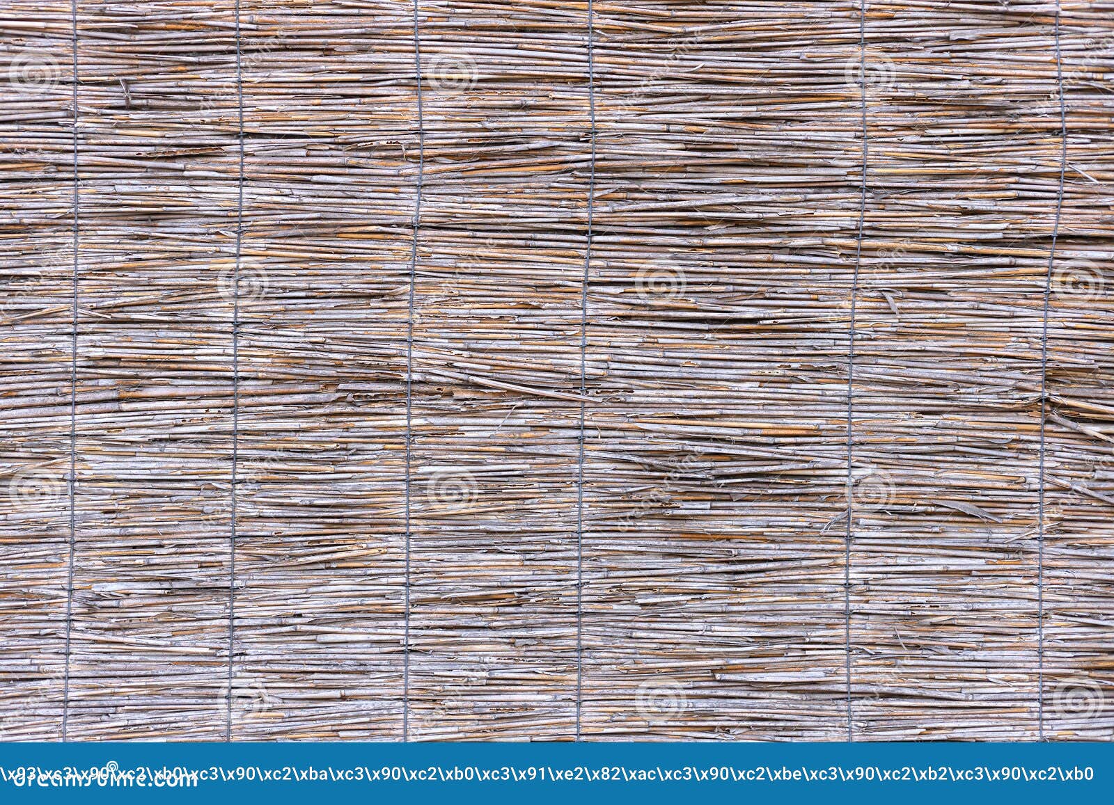 Weathered Fence Made of Rush or Reeds. Fence Texture, Background. Stock ...