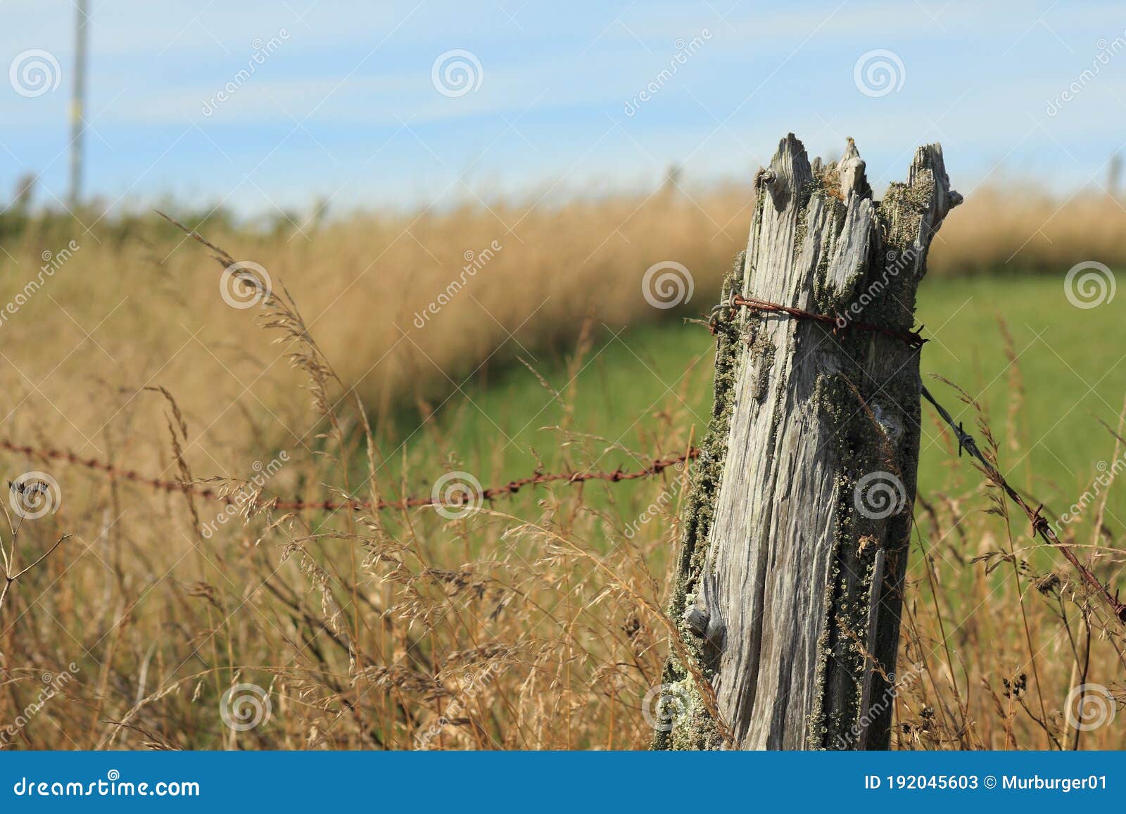 Weathered Fence Post and Barb Wire Fence Stock Image - Image of wire ...