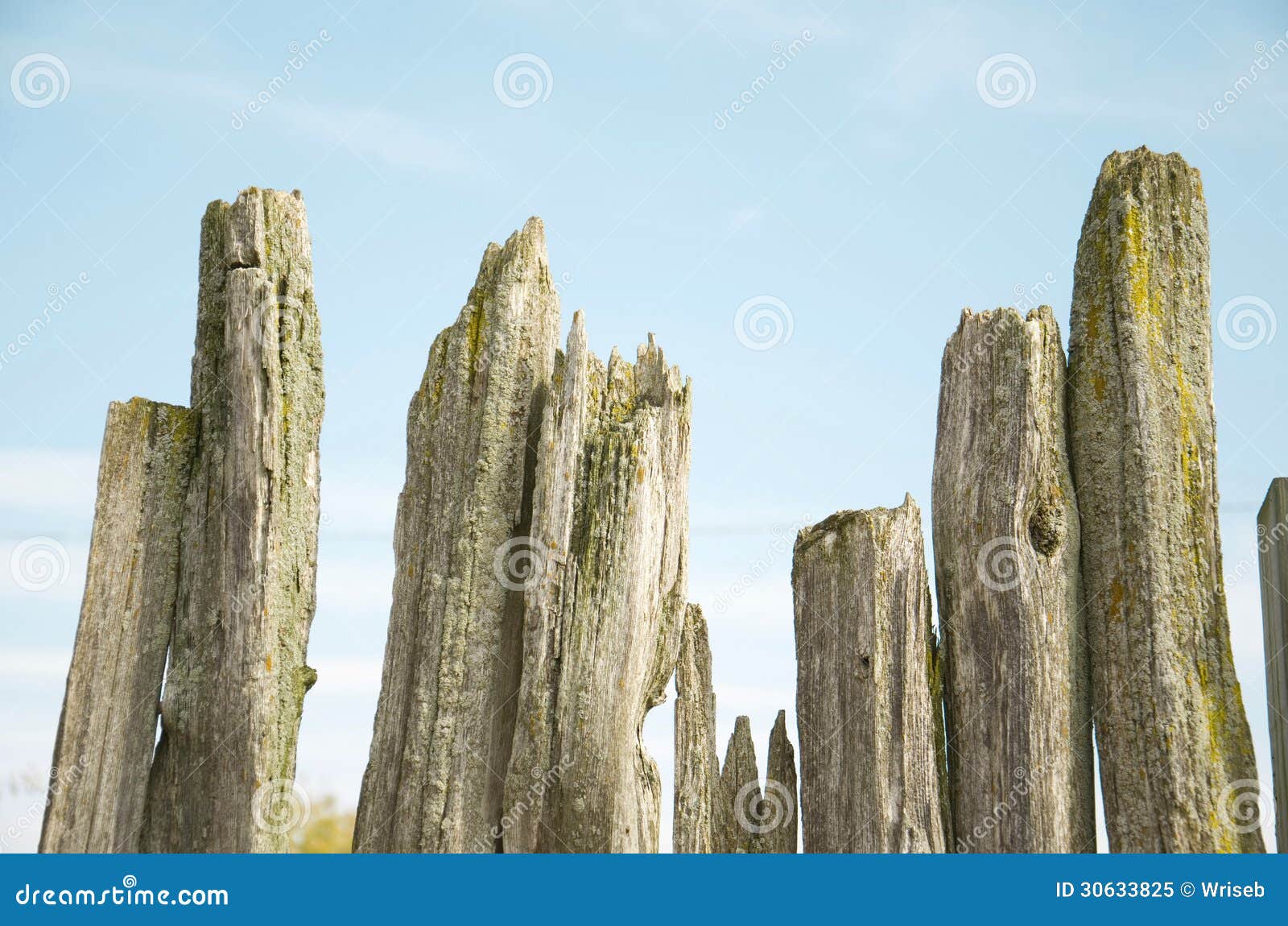 Weathered fence posts stock image. Image of weathered - 30633825