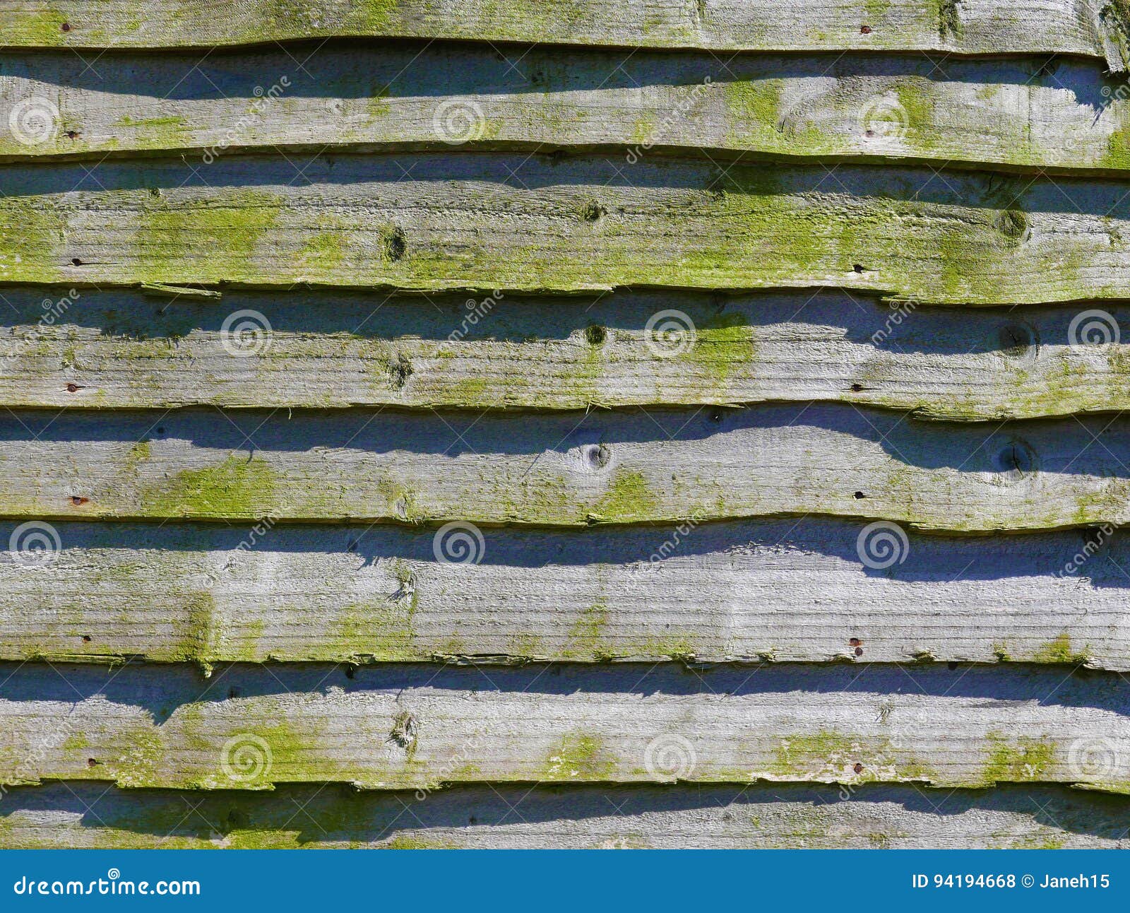Weathered fencing panel stock photo. Image of lumber - 94194668