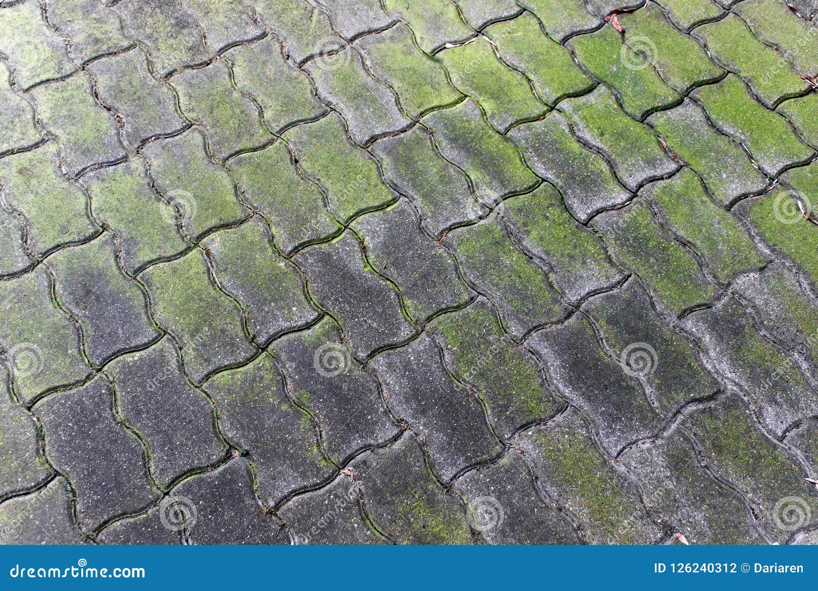 Texture of Footpath Made of Bricks. Stock Photo - Image of city ...