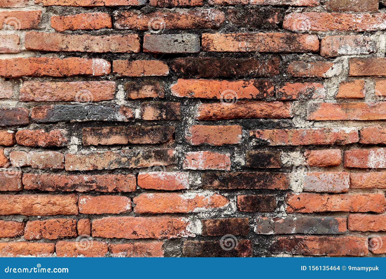 Weathered Grunge Red Brick Wall with Fungus Mold. Stock Photo - Image ...