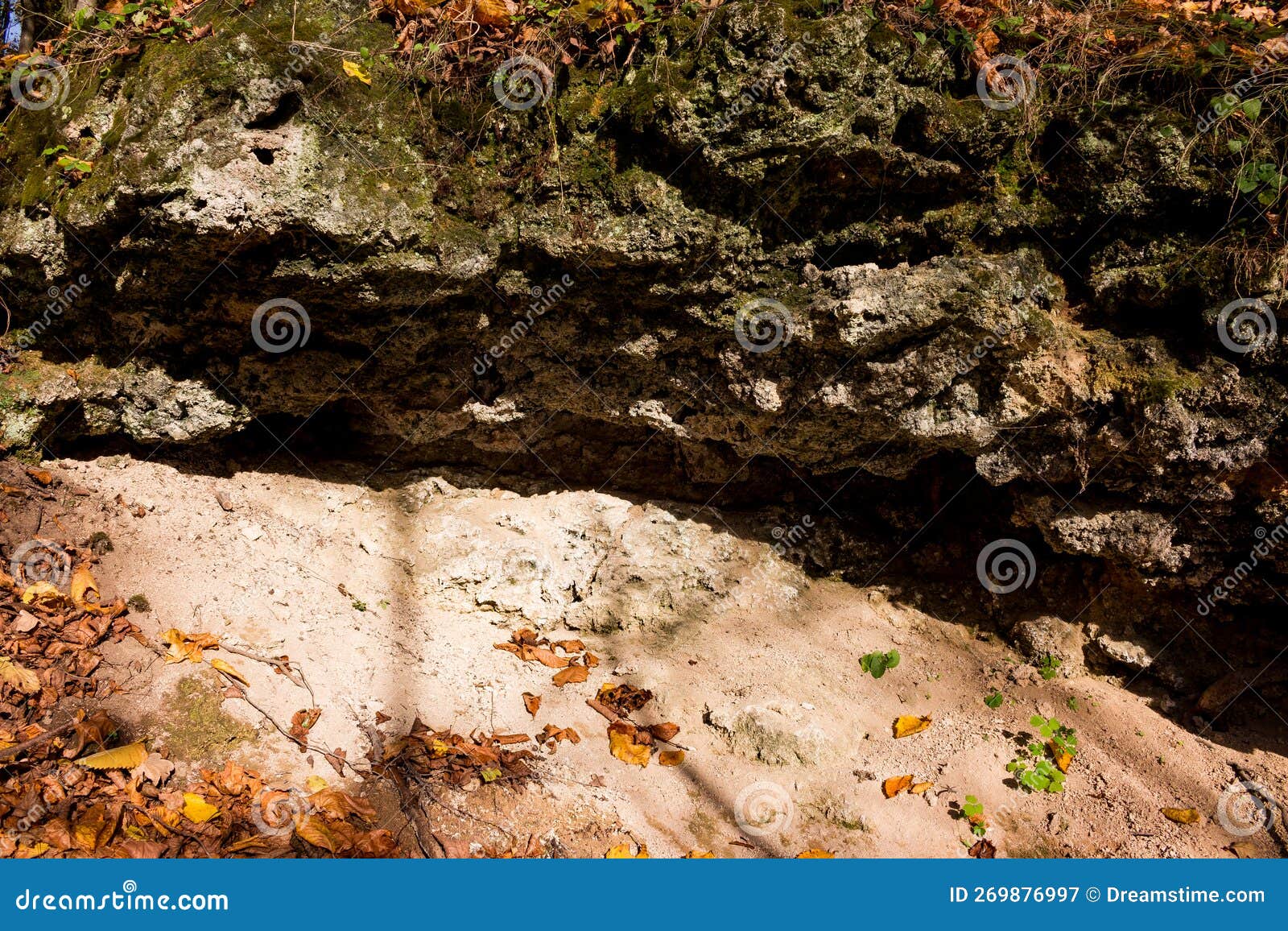 Weathered Limestone Exposed To the Surface in a Forested Area Stock ...