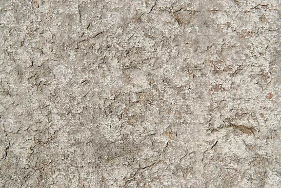 Weathered Material stock photo. Image of outside, hard - 1898170