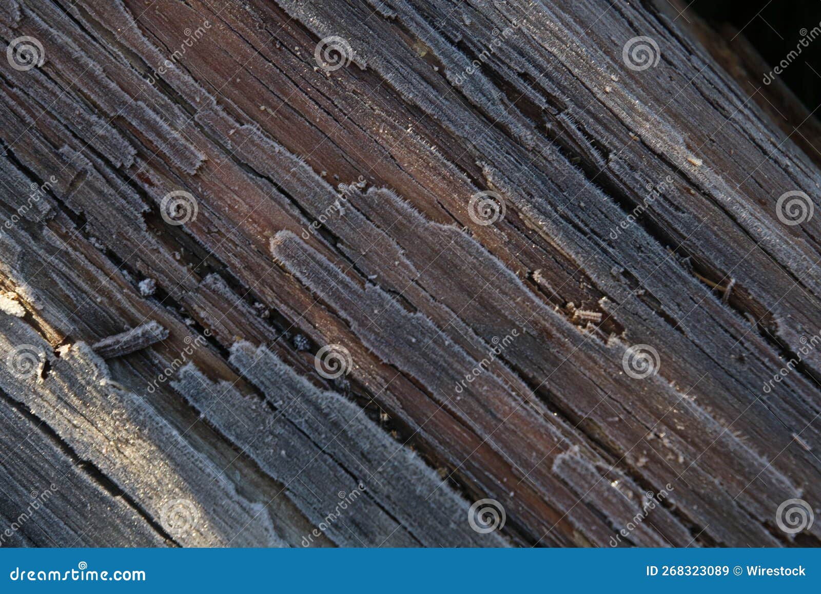 Weathered Old Layered Tree Bark in Brown Stock Image - Image of ...