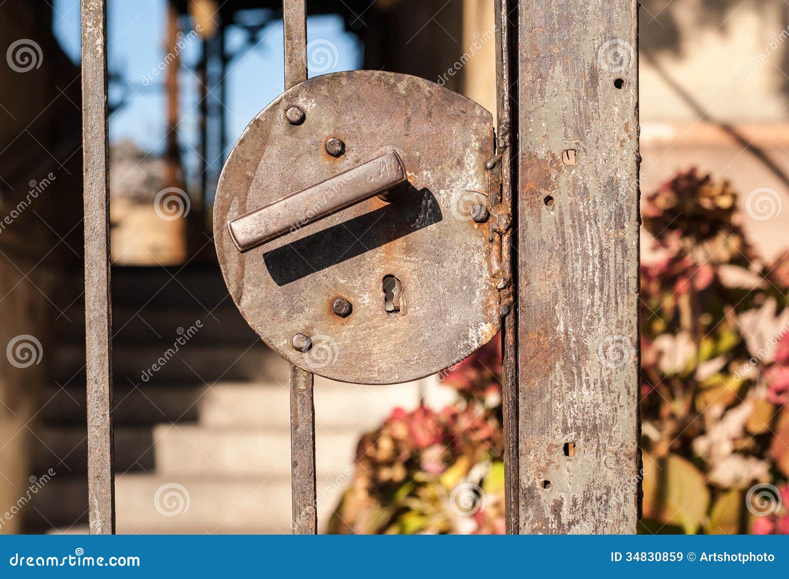 Rusted Gate Lock Royalty-Free Stock Photo | CartoonDealer.com #28524117