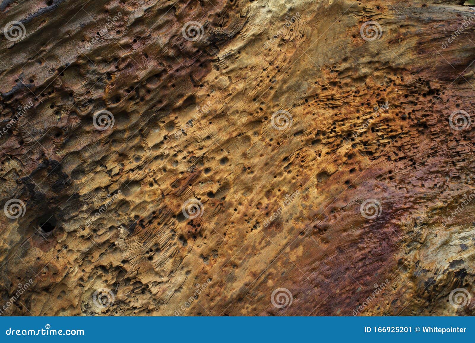 Weathered Old Rusty Colour Timber Surface Detail 库存图片 - 图片 包括有 剪切, 生锈 ...