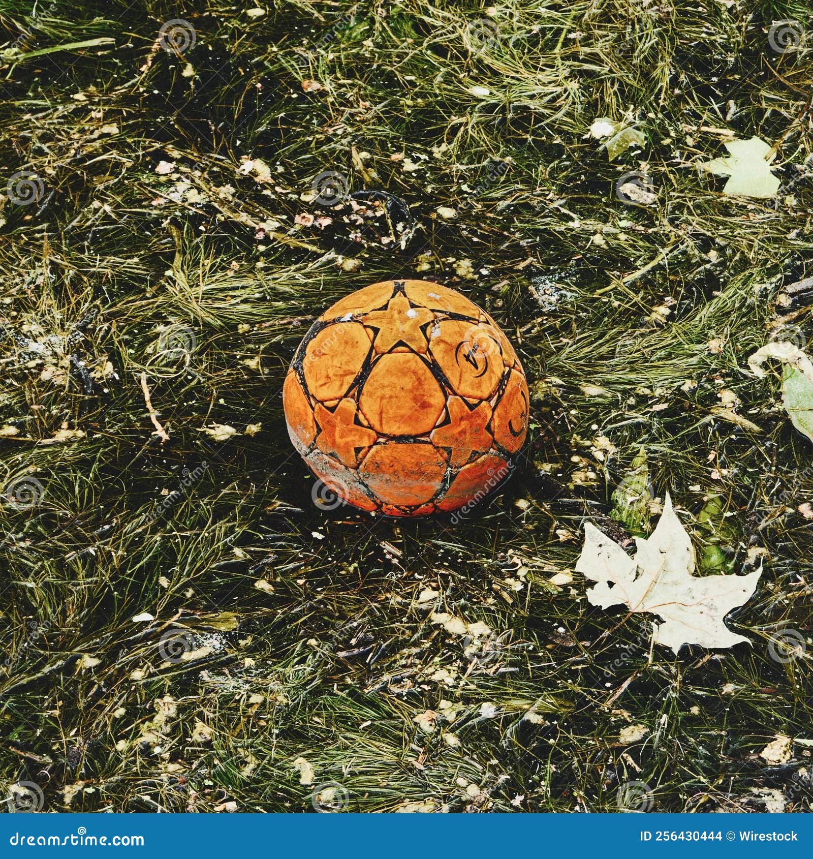 Weathered Orange Soccer Ball on the Grass Stock Photo - Image of soccer ...