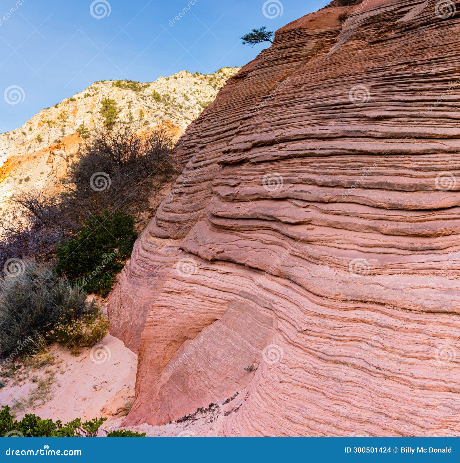 Weathered Patterns in the Red Sandstone Walls Below the Elkheart Cliffs ...