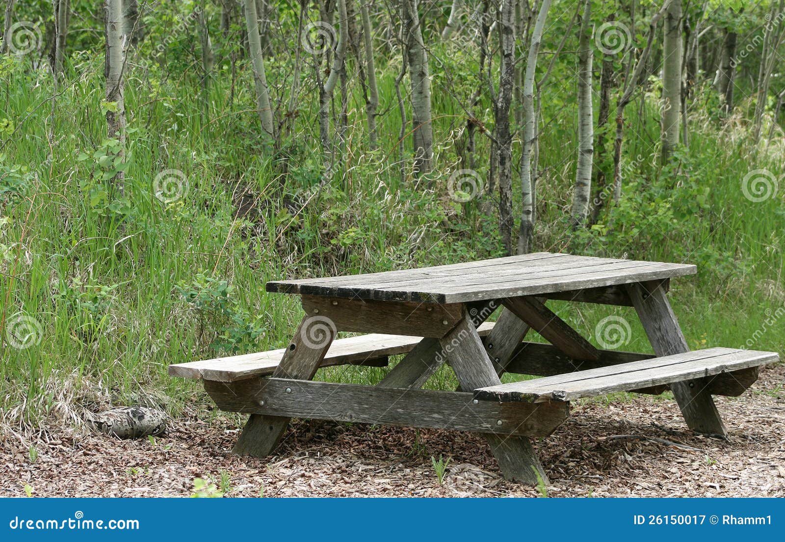 Weathered Picnic Table in a Forest Stock Image - Image of grass ...