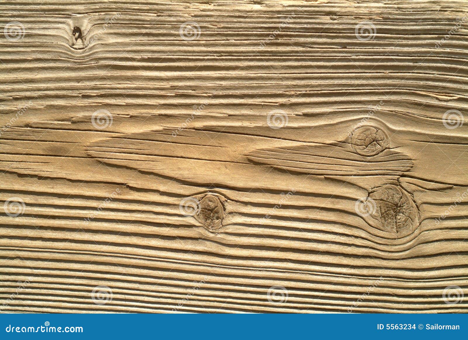 A weathered piece of pine stock photo. Image of raised - 5563234