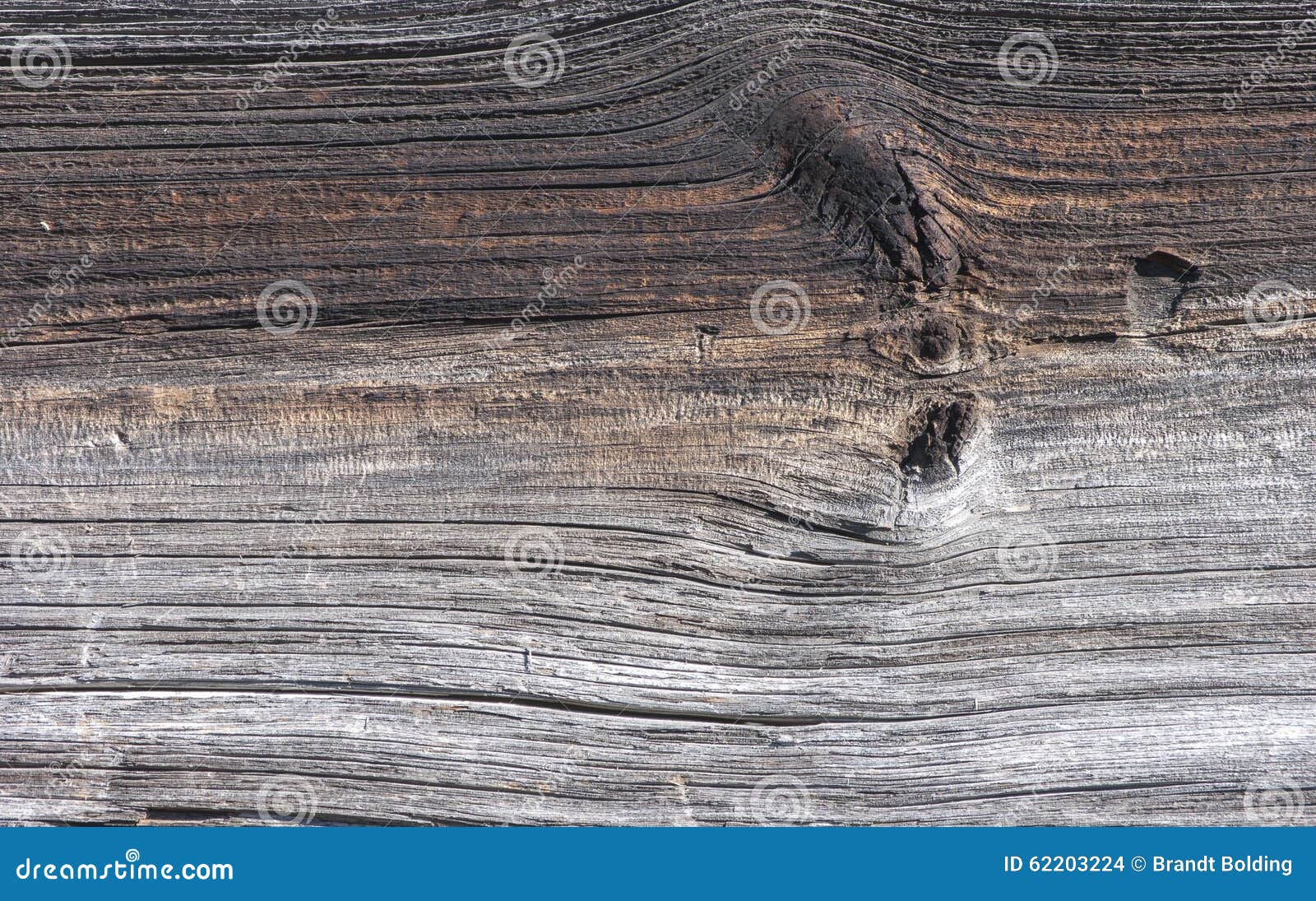 Weathered Pine Board on a Barn Stock Photo - Image of board, pine: 62203224