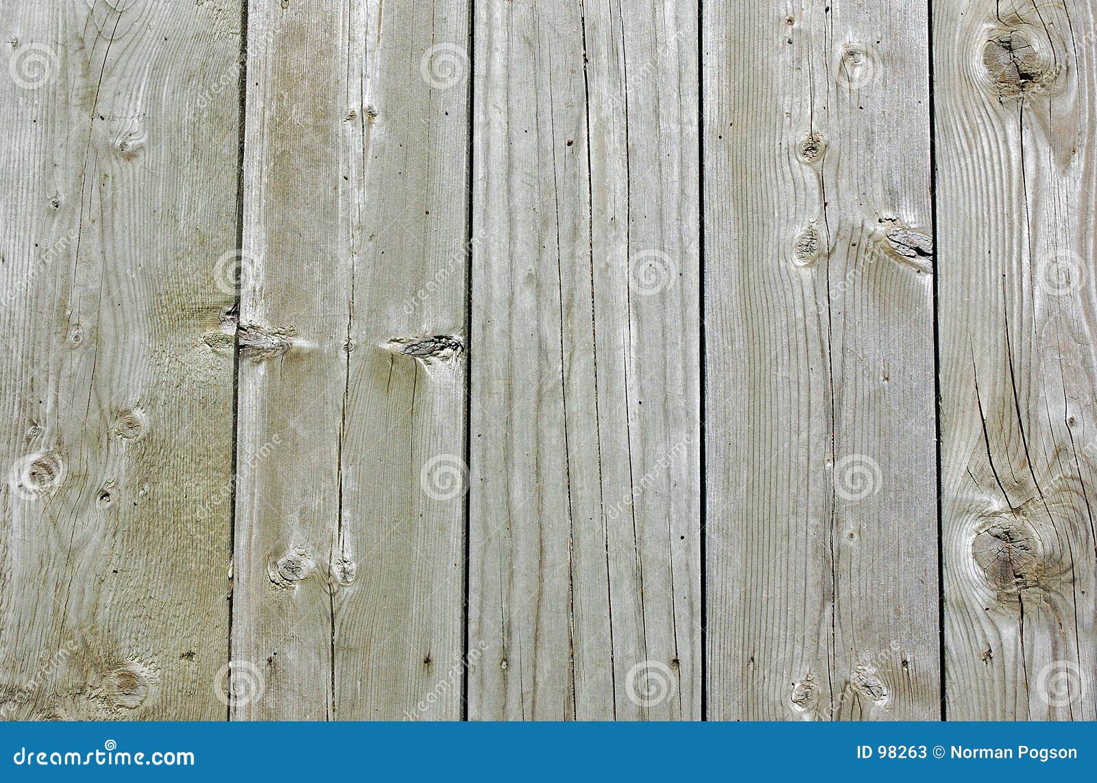 Weathered Pine Boards stock image. Image of wooden, barnboards - 98263
